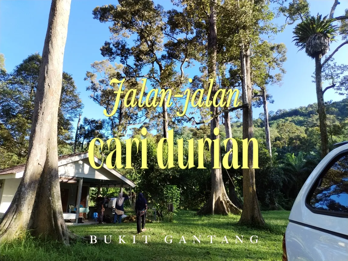 Jom cari durian | Galeri disiarkan oleh Nama Saya Azie | Lemon8