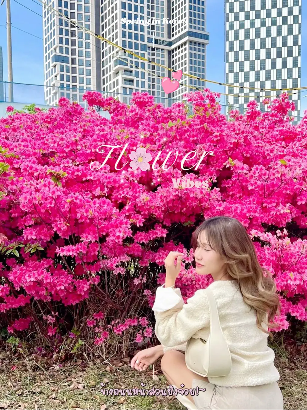 Hydrangea and Wisteria Blooms in South Korea - การค้นหาใน Lemon8