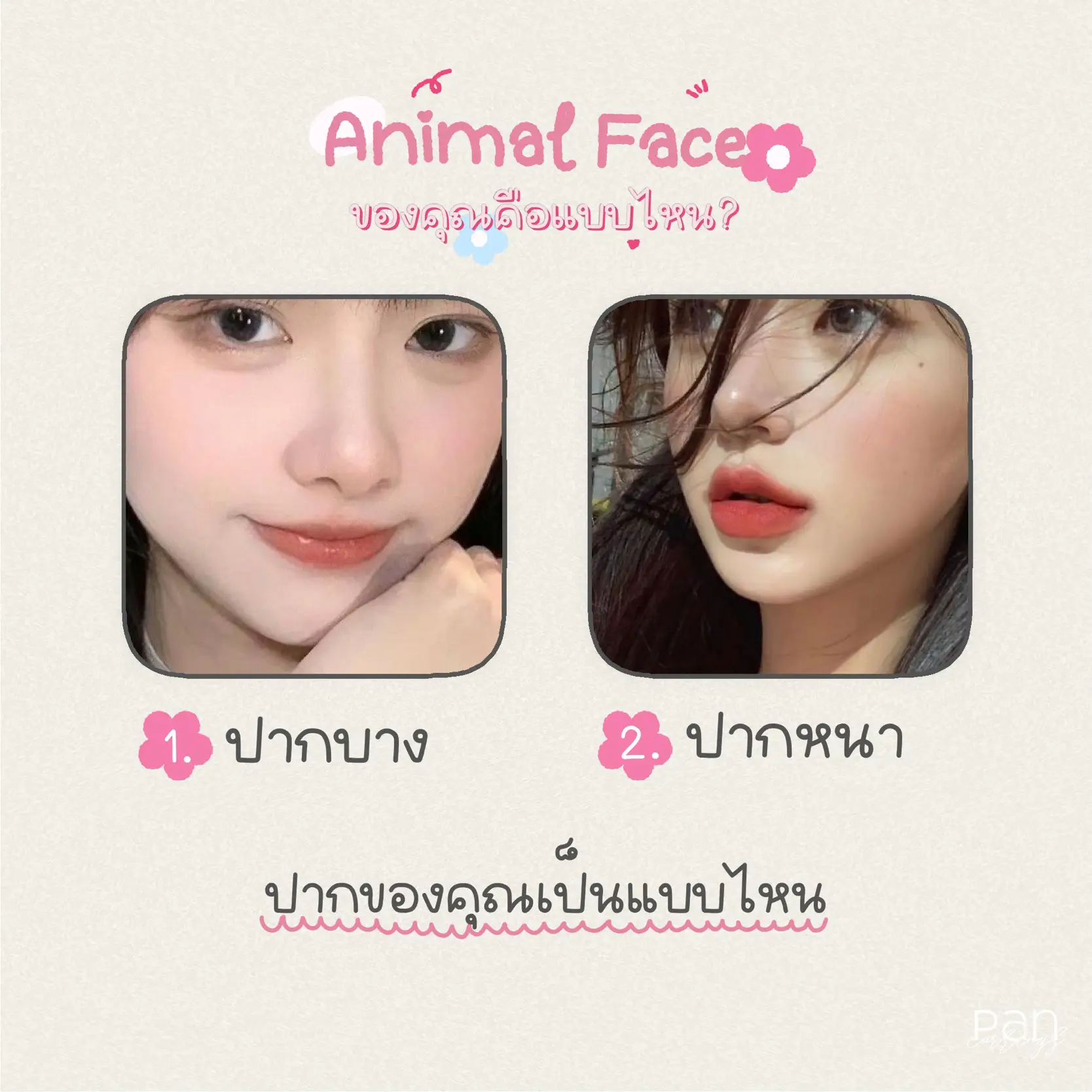 🧐 พาเช็ค Animal Face Type เทรนด์ที่กำลังมาในเกาหลี | แกลเลอรีที่โพสต์โดย Proxumer | Lemon8