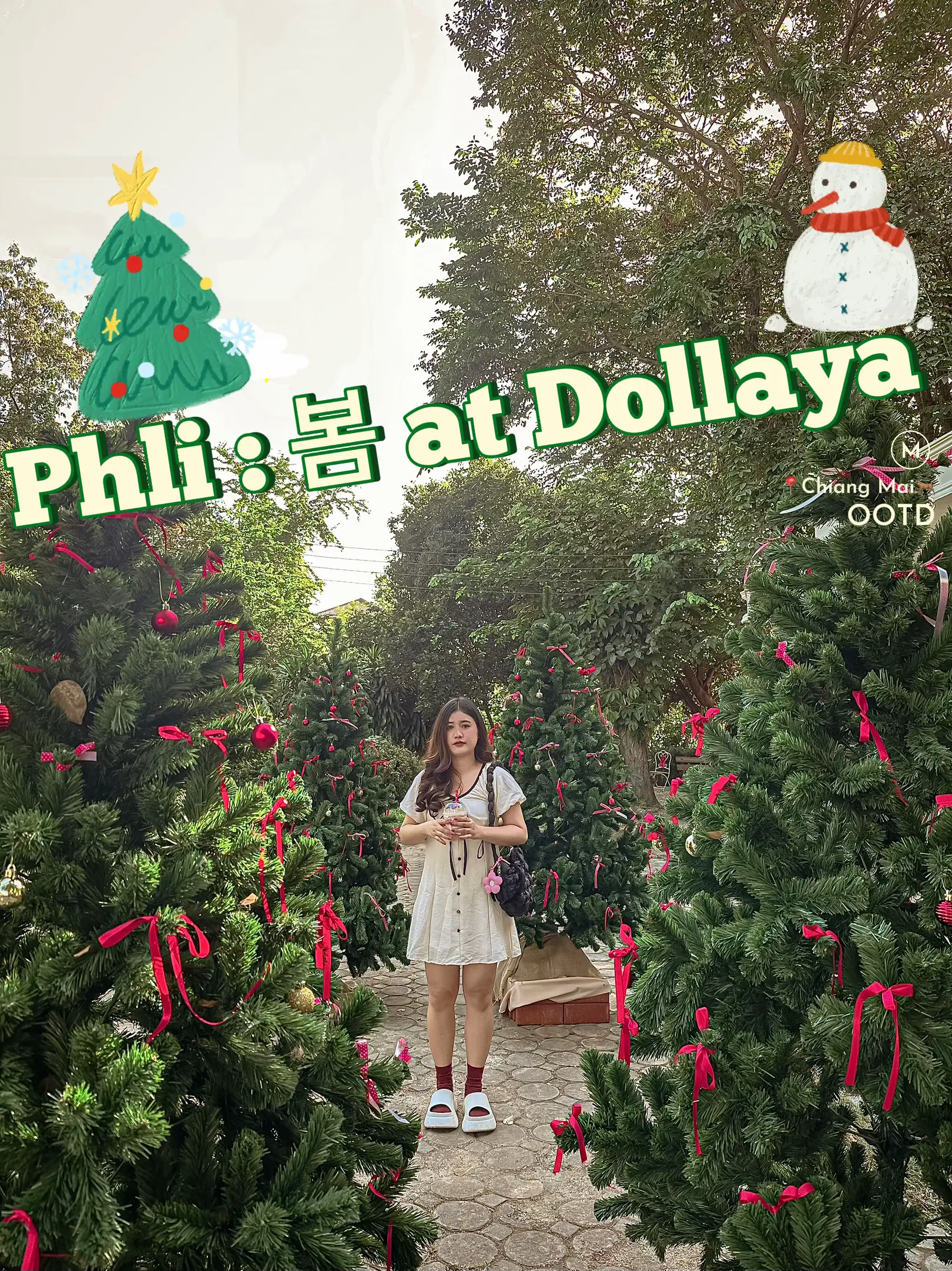 🦌Phli : ผลิ 봄 at Dollaya 🎄 | แกลเลอรีที่โพสต์โดย พัชริดา พัชริดา | Lemon8
