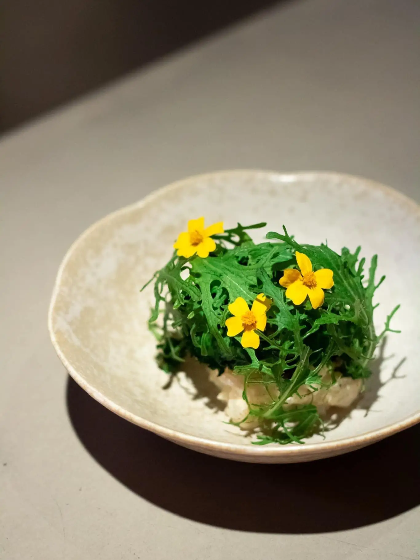 SET MENU ĐỘC ĐÁO TẠI THE MONKEY GALLERY DINING | Bộ sưu tập do LU ...