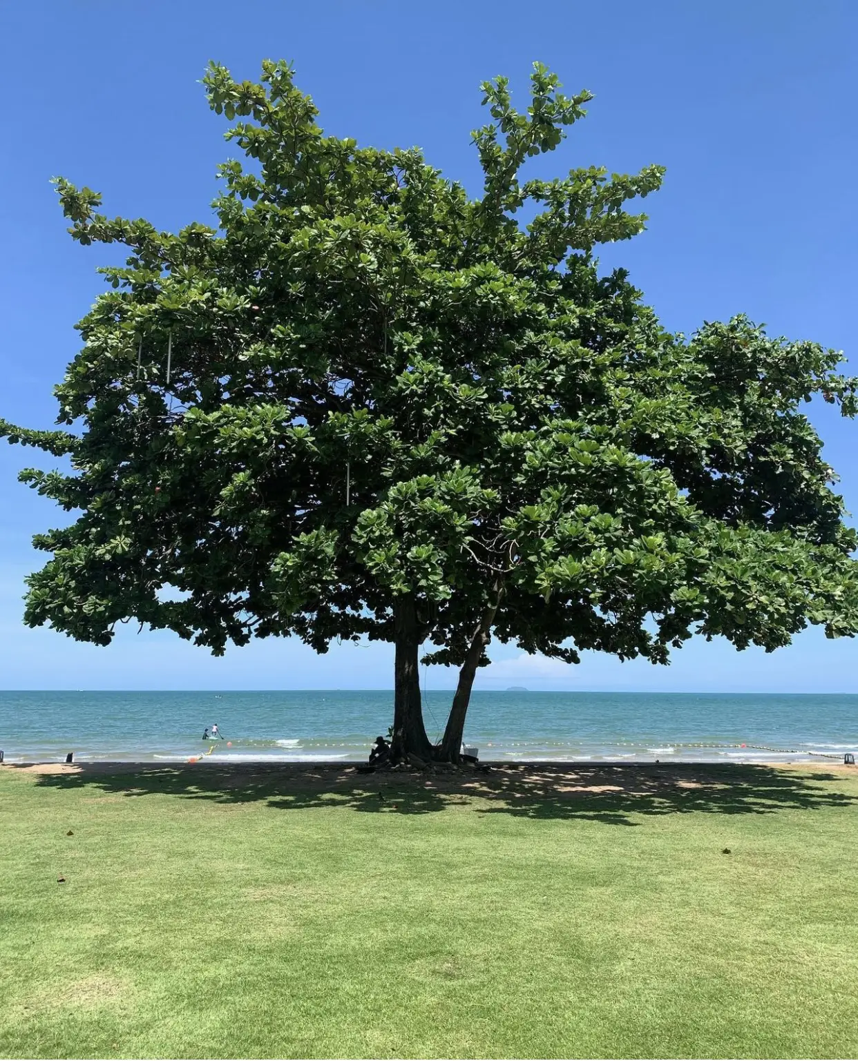 ANA ANAN โรงแรมฮิปๆเมืองพัทยา | แกลเลอรีที่โพสต์โดย Meaw.wang | Lemon8