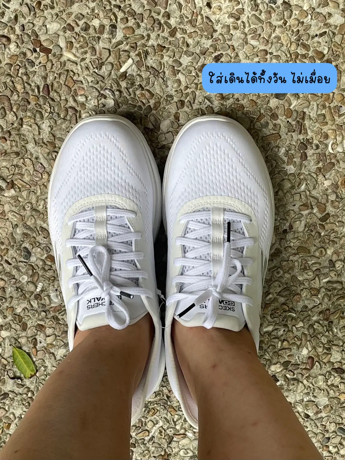 นุ่มสบาย ใส่เดินได้ทั้งวันโดยไม่เมื่อย "Skechers go walk 7“ | แกลเลอรี ...