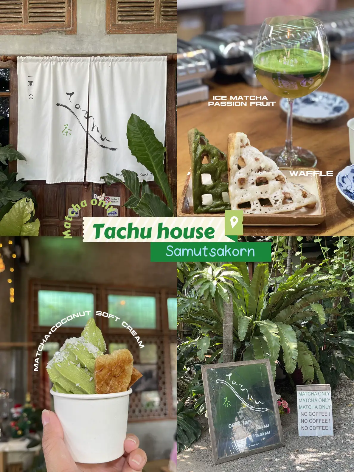 📍พิกัดร้านมัทฉะ สมุทรสาคร 💚Tachu House🌱 ถูกใจสายเขียว🥰 | แกลเลอรีที่ ...