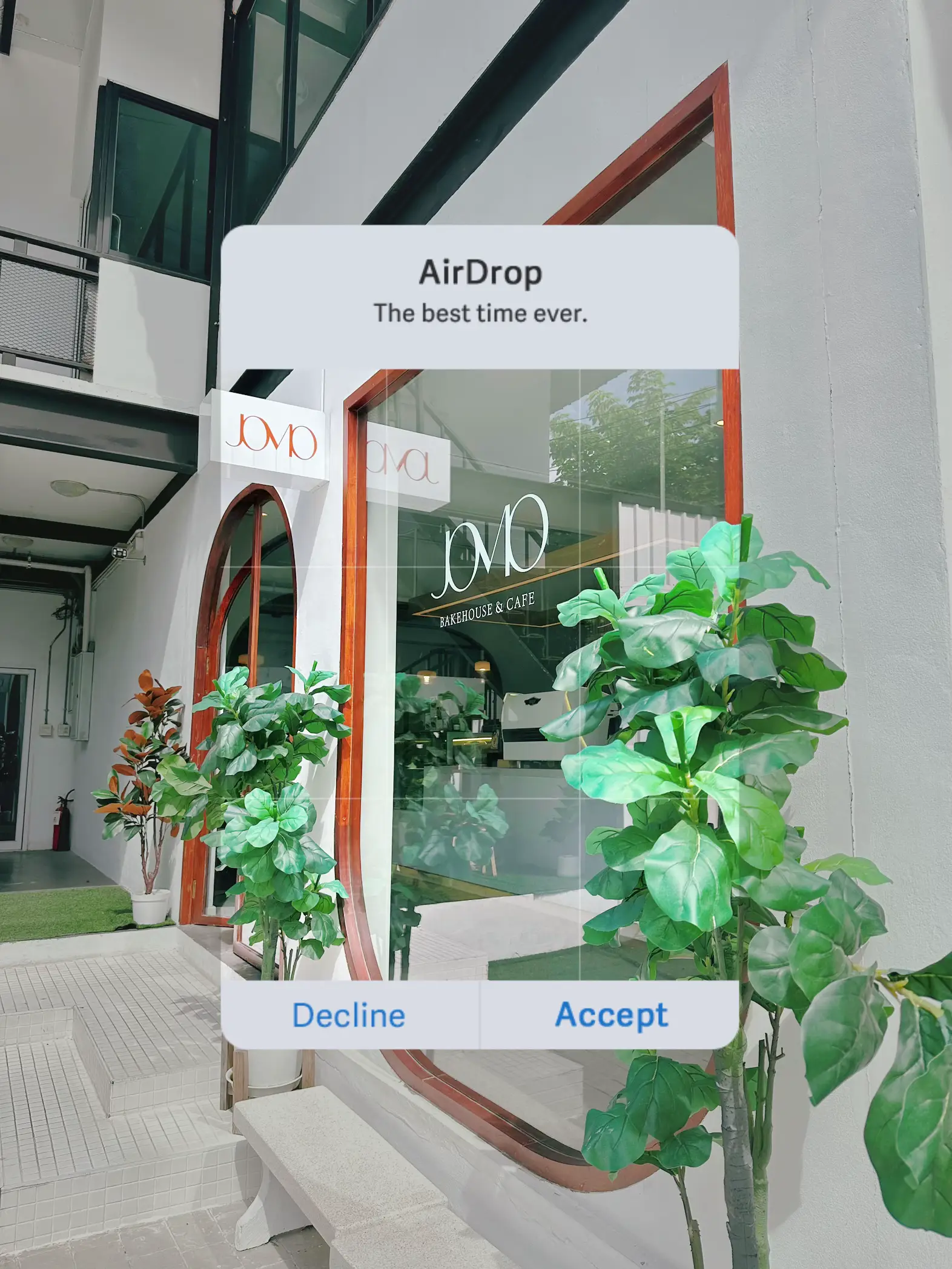 JOMO | คาเฟ่อิสรภาพ มุมถ่ายรูปเพียบ🍎 | แกลเลอรีที่โพสต์โดย 𝓞𝓷𝓪𝓲𝓺𝓺 ༊* | Lemon8