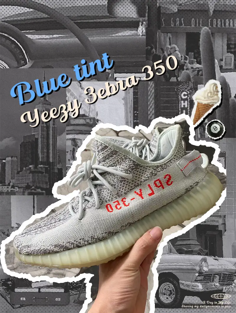 Yeezy Zebra 350 ( Blue tint ) | แกลเลอรีที่โพสต์โดย Panda | Lemon8