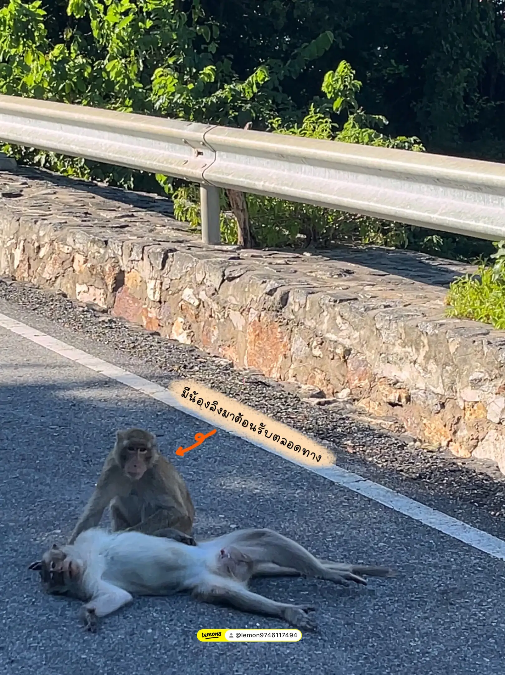 มุมถ่ายรูปบางแสน | แกลเลอรีที่โพสต์โดย Ize_st | Lemon8