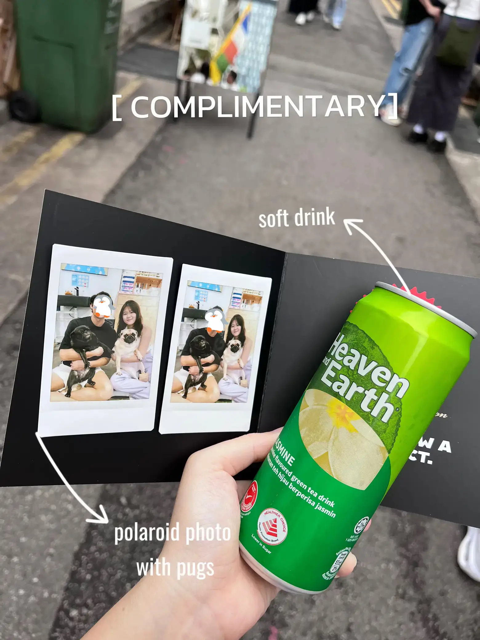 pugging good time with paw friends🐾 | Gallery posted by yingxuan˚ ༘ ̈ ...
