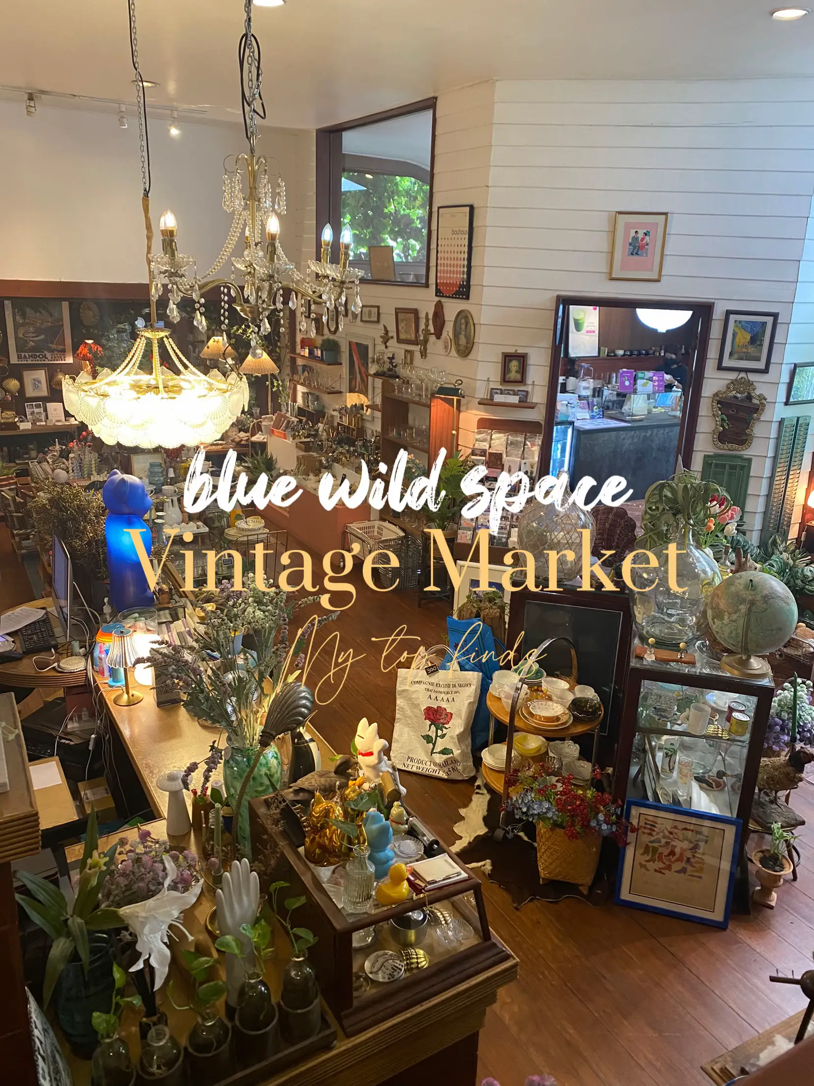 blue wild space ร้านขายของวินเทจ 🪑🪞🪟⏳🧸 | แกลเลอรีที่โพสต์โดย Navillera ...