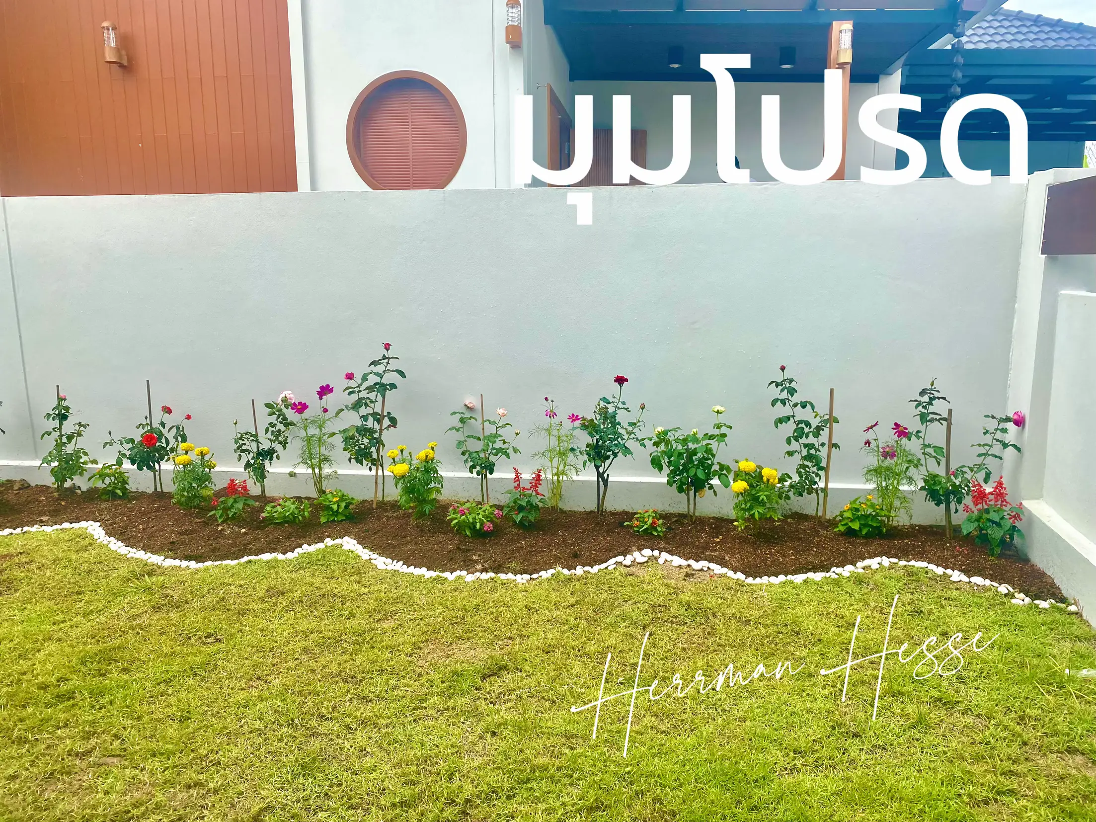 มือใหม่ | แกลเลอรีที่โพสต์โดย Nam Mon | Lemon8