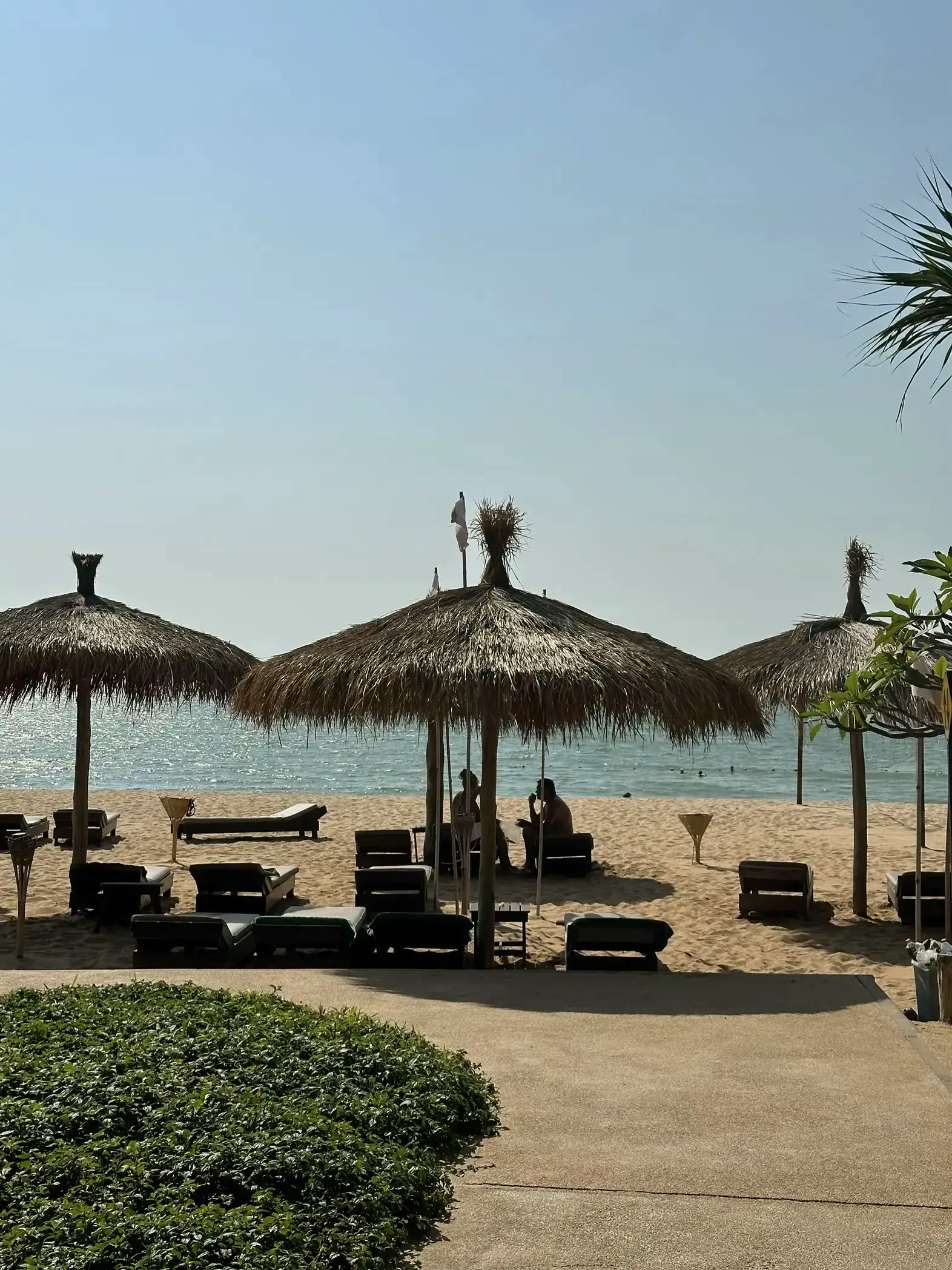 Good old sea beach คาเฟ่ติดริมหาดพัทยา🏝️🍉🌺.* | แกลเลอรีที่โพสต์โดย nut🌺 ...