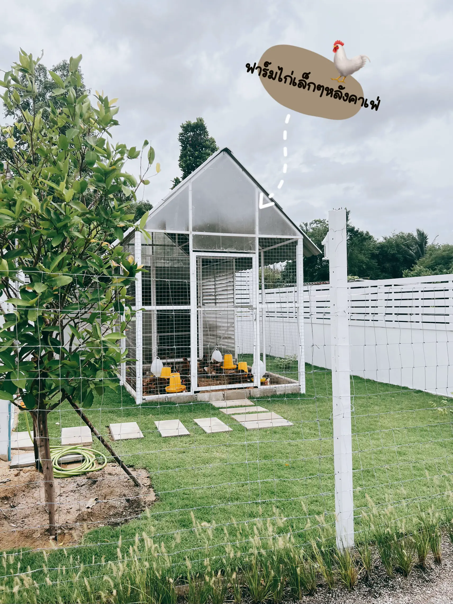 🥐𝗻‘𝗺𝗼𝗱 𝗰𝗮𝗳𝗲 🐜(คาเฟ่น้องมดไข่ไก่อารมณ์ดี) | แกลเลอรีที่โพสต์โดย ลงไปเรื่อย | Lemon8