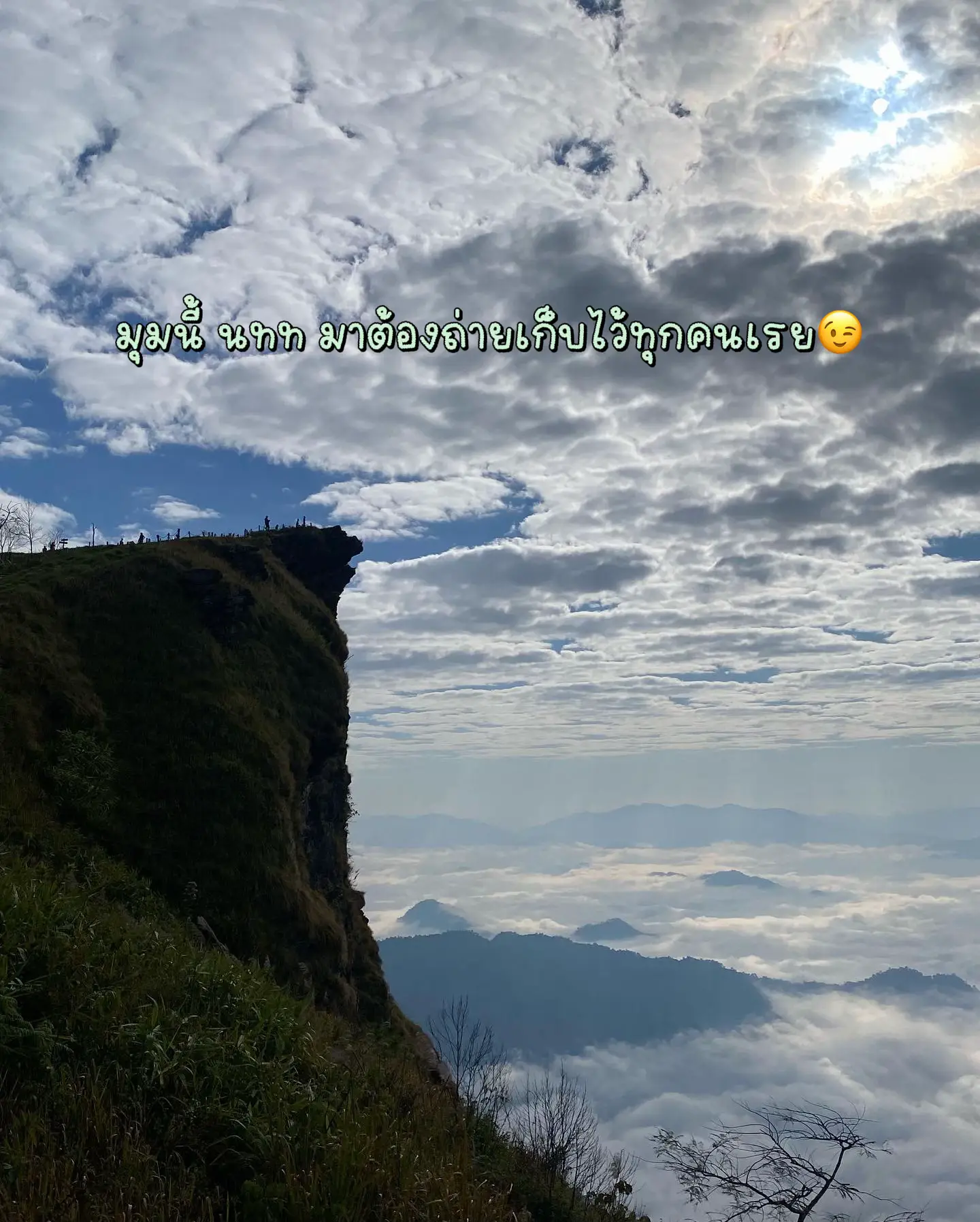 ตะลุยภูชี้ดาว & ภูชี้ฟ้า จ.เชียงราย29-30Dec2023 | แกลเลอรีที่โพสต์โดย TIIK_Nipa | Lemon8