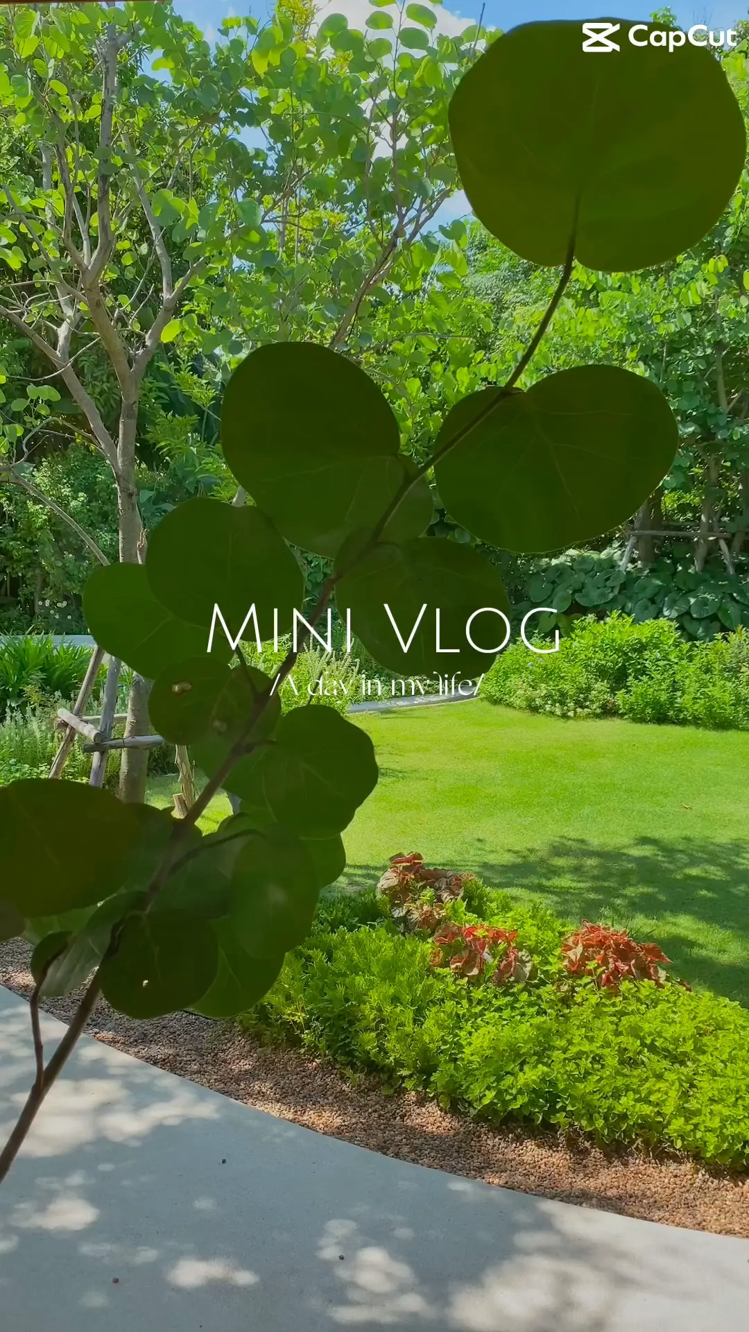 รีวิวบรรยากาศคาเฟ่ Horme Cafe นนทบุรี | วิดีโอที่เผยแพร่โดย Ramida.Diary | Lemon8