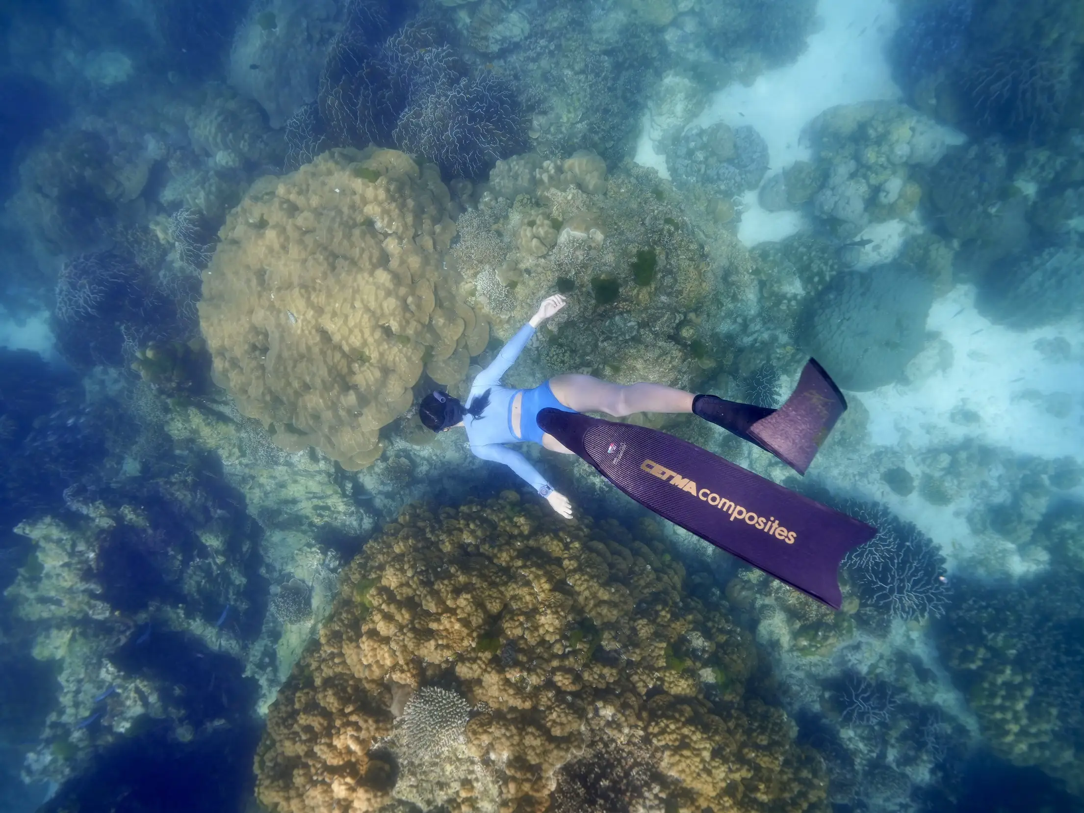 เรียน Freedive ครั้งแรกจากคนว่ายน้ำไม่เป็น | แกลเลอรีที่โพสต์โดย Mai-Chananpat | Lemon8