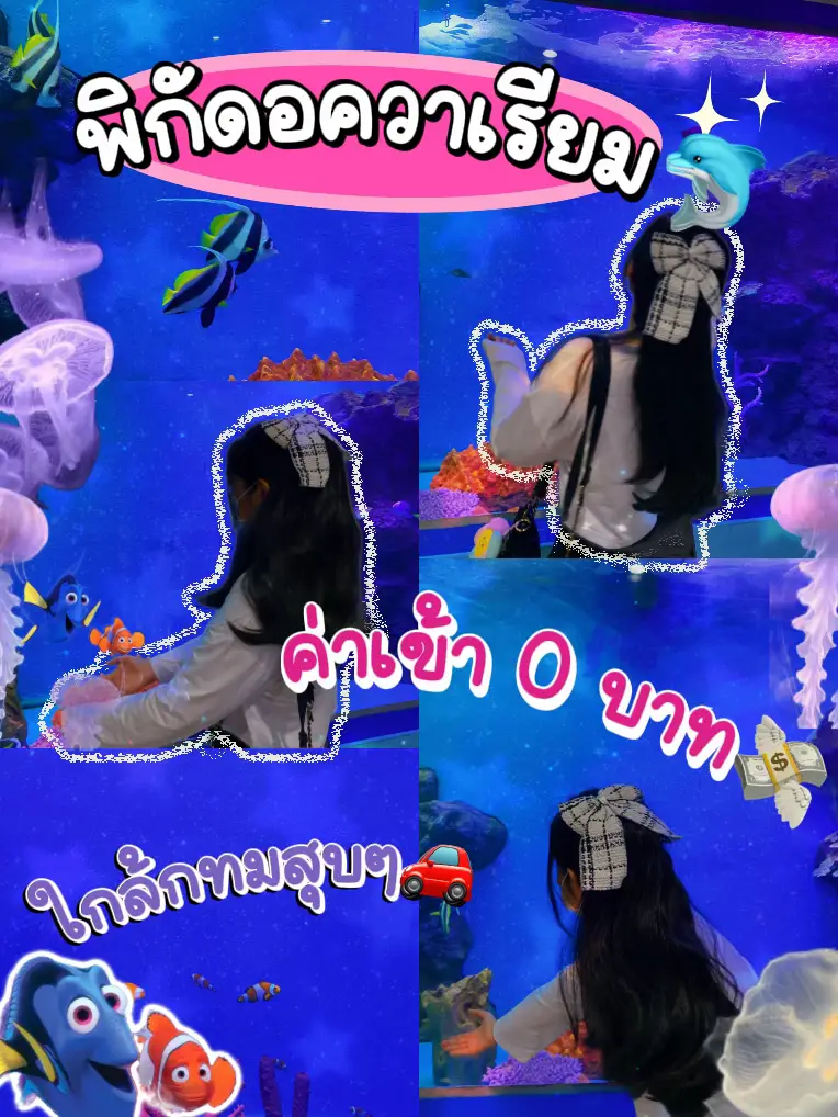 อควาเรียมใกล้กรุง ค่าเข้า 0 ฿🧜‍♀️🐬 | แกลเลอรีที่โพสต์โดย 𝐏𝐚𝐜𝐡𝐢𝐢 | Lemon8