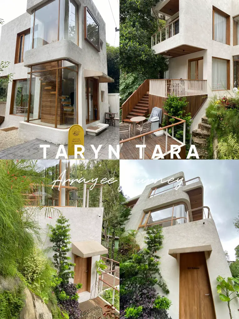 ⛰️🌿 หนาวนี้มาฮีลใจกันที่ 𝗧𝗮𝗿𝘆𝗻 𝗧𝗮𝗿𝗮 𝗖𝗮𝗳𝗲 𝗮𝗻𝗱 𝗦𝘁𝗮𝘆 แม่กำปอง | แกลเลอรี ...