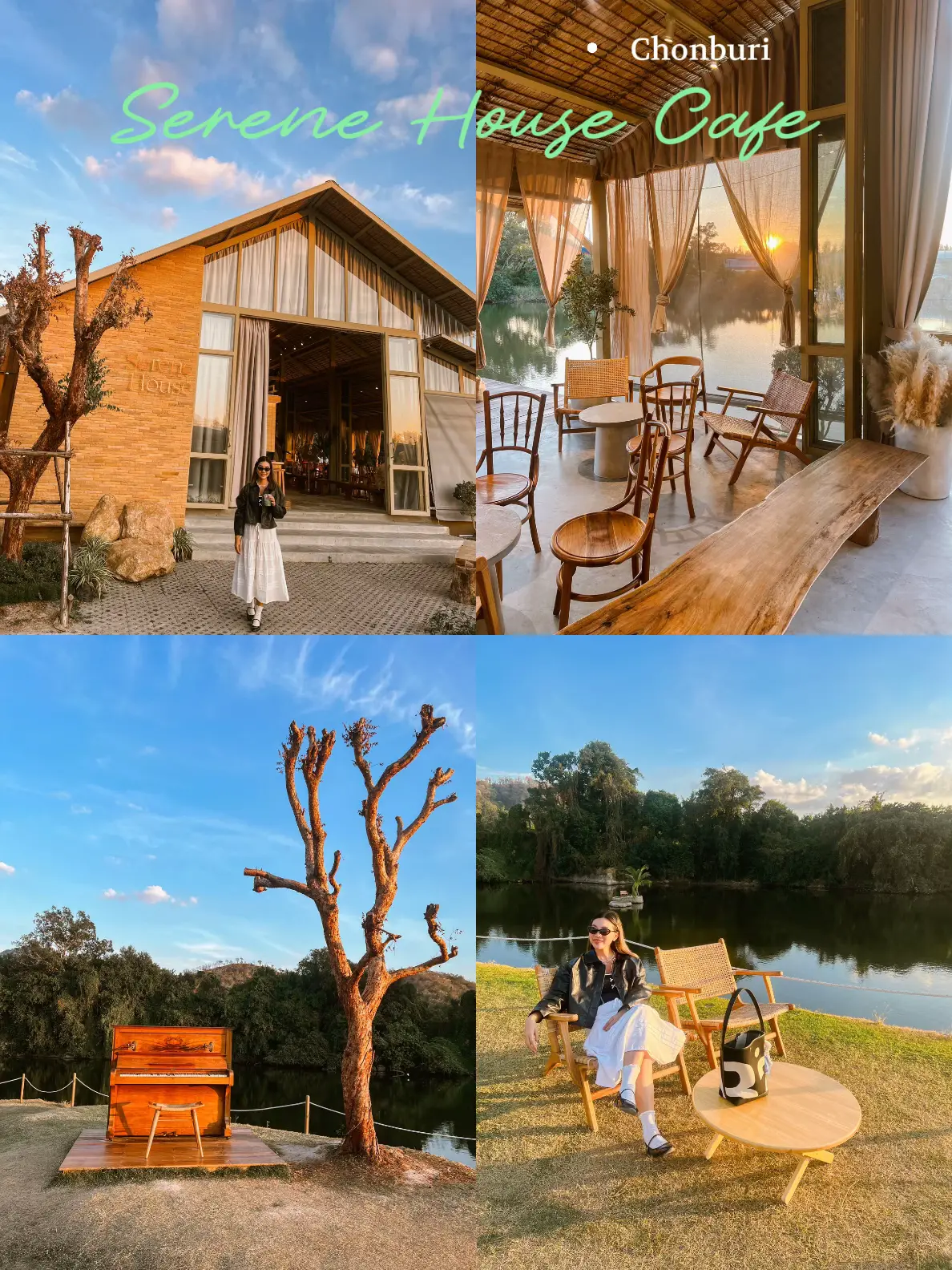 🌳 Serene House Cafe | แกลเลอรีที่โพสต์โดย Chewlu | Lemon8