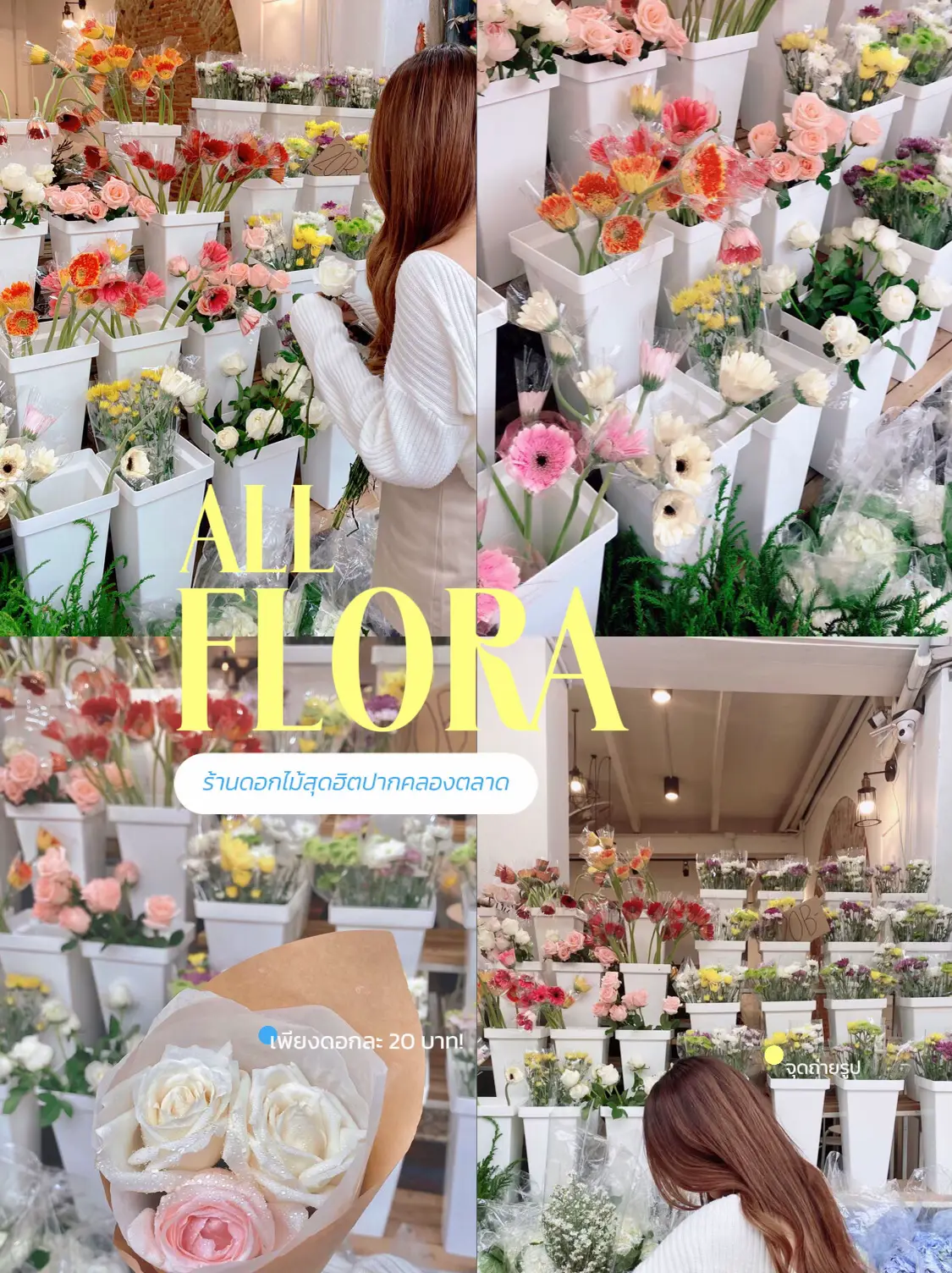 ALL.FLORA ร้านดอกไม้ย่านปากคลองตลาดที่ห้ามพลาด🌸 | แกลเลอรีที่โพสต์โดย ...