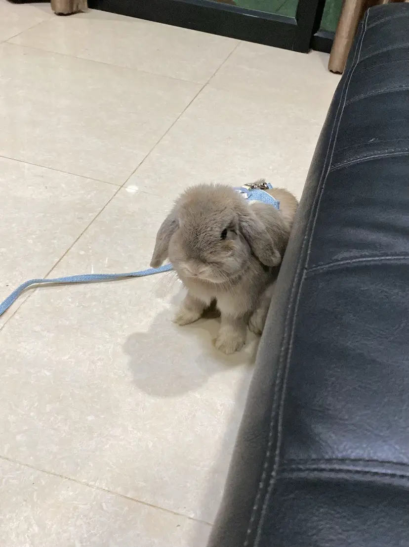 JUDY. มึนสุดๆ | แกลเลอรีที่โพสต์โดย KWANJI | Lemon8