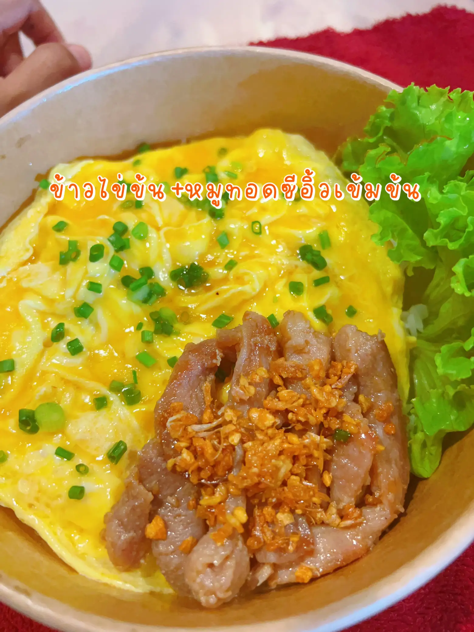 ข้าวไข่ข้น+หมูทอดซีอิ้วเข้มข้น | แกลเลอรีที่โพสต์โดย Auey CY | Lemon8