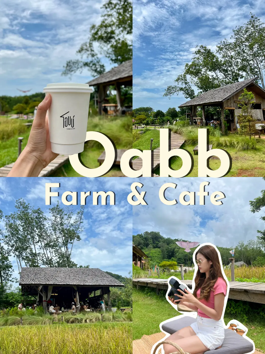 Oabb Farm & Cafe Klaeng Rayong ☕️🌾 | Gallery posted by sɪʟᴇɪ ヅ | Lemon8