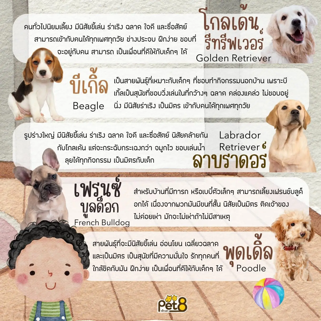 แนะนำ 5 น้องหมารักเด็ก 🐕😍 | แกลเลอรีที่โพสต์โดย Pet8 | Lemon8
