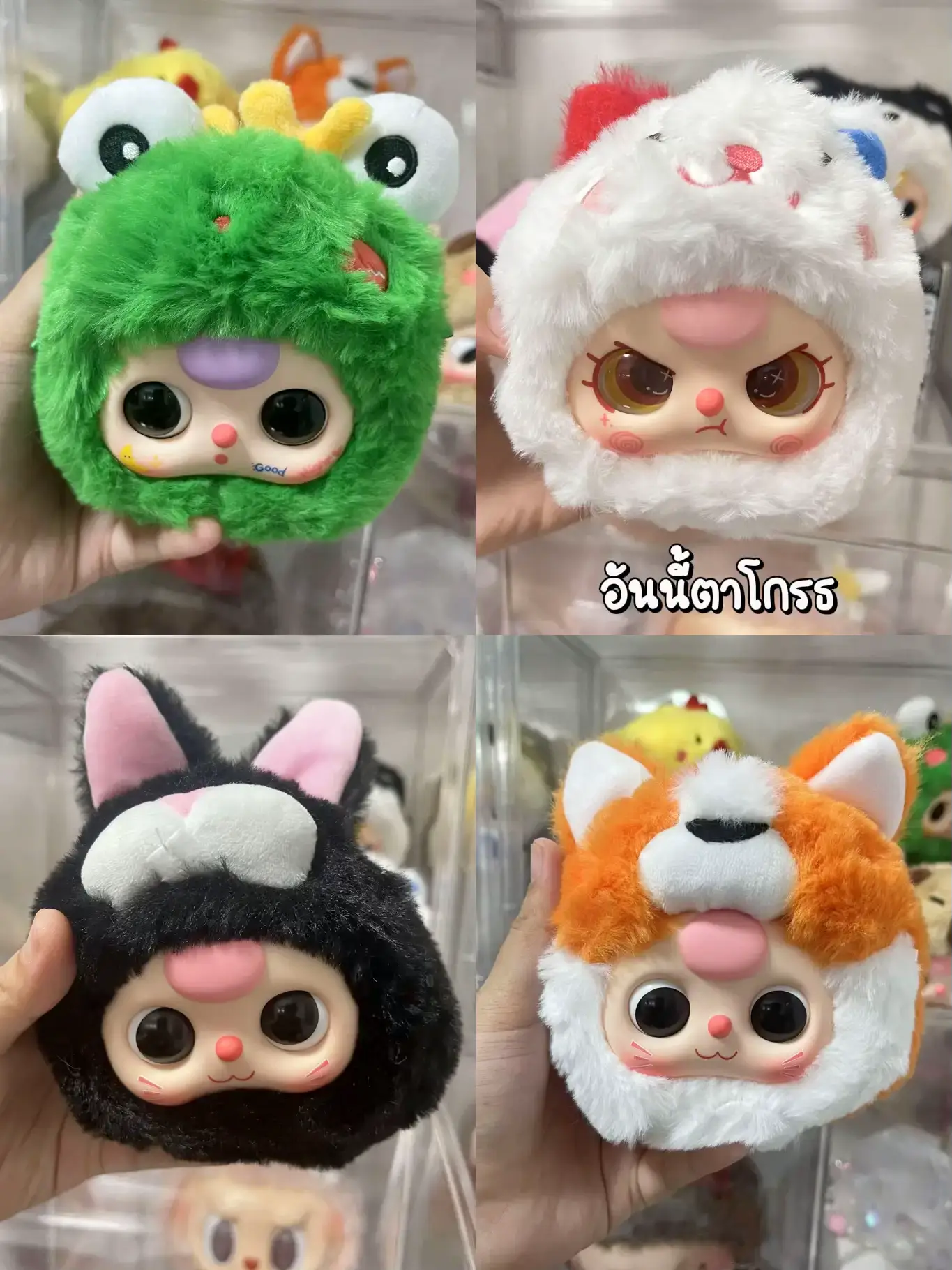 Baby Three V2 - การค้นหาใน Lemon8