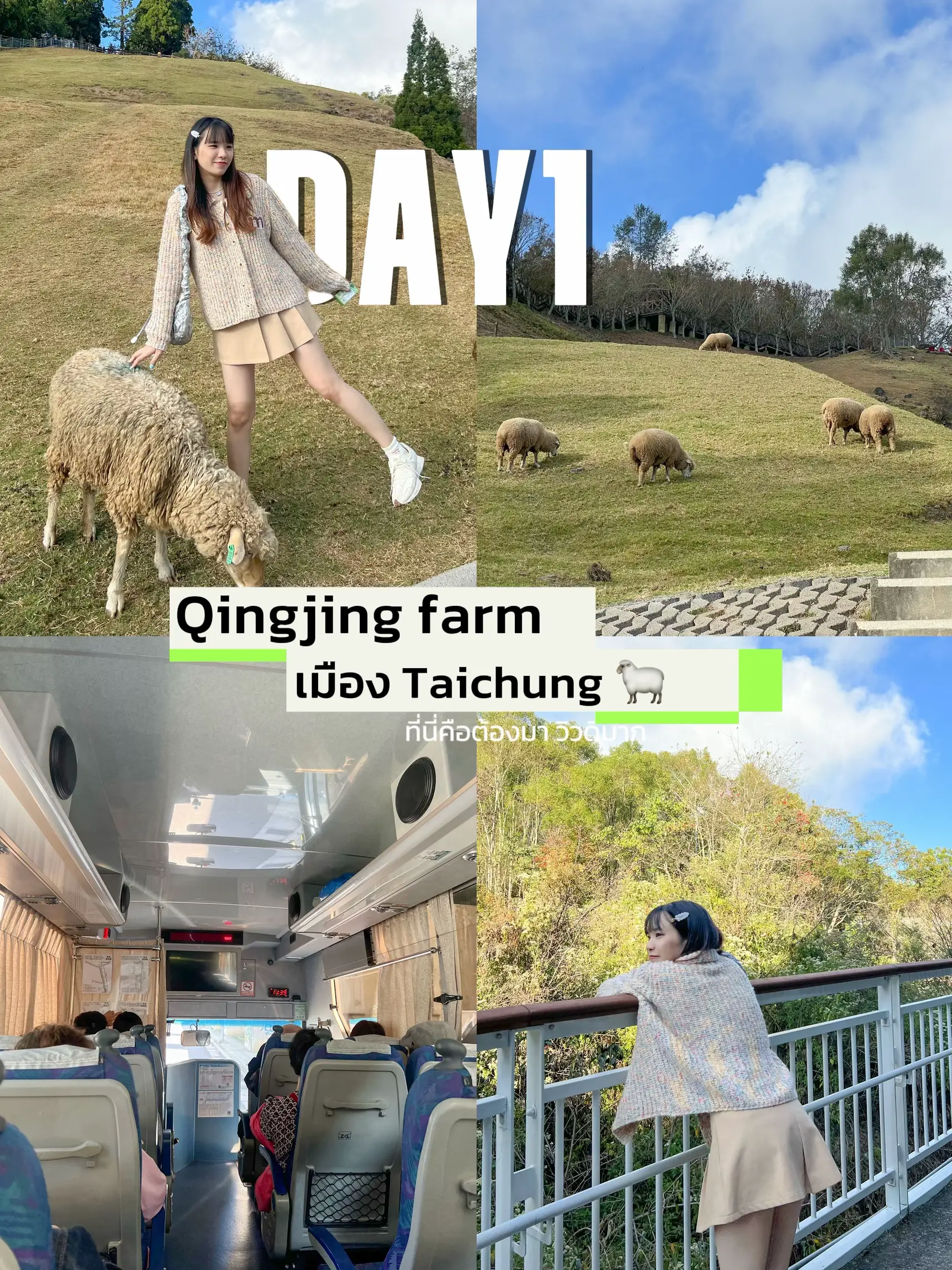 แจกแพลนเที่ยวไต้หวัน 5วัน 4คืน | แกลเลอรีที่โพสต์โดย my—hom🧃 | Lemon8