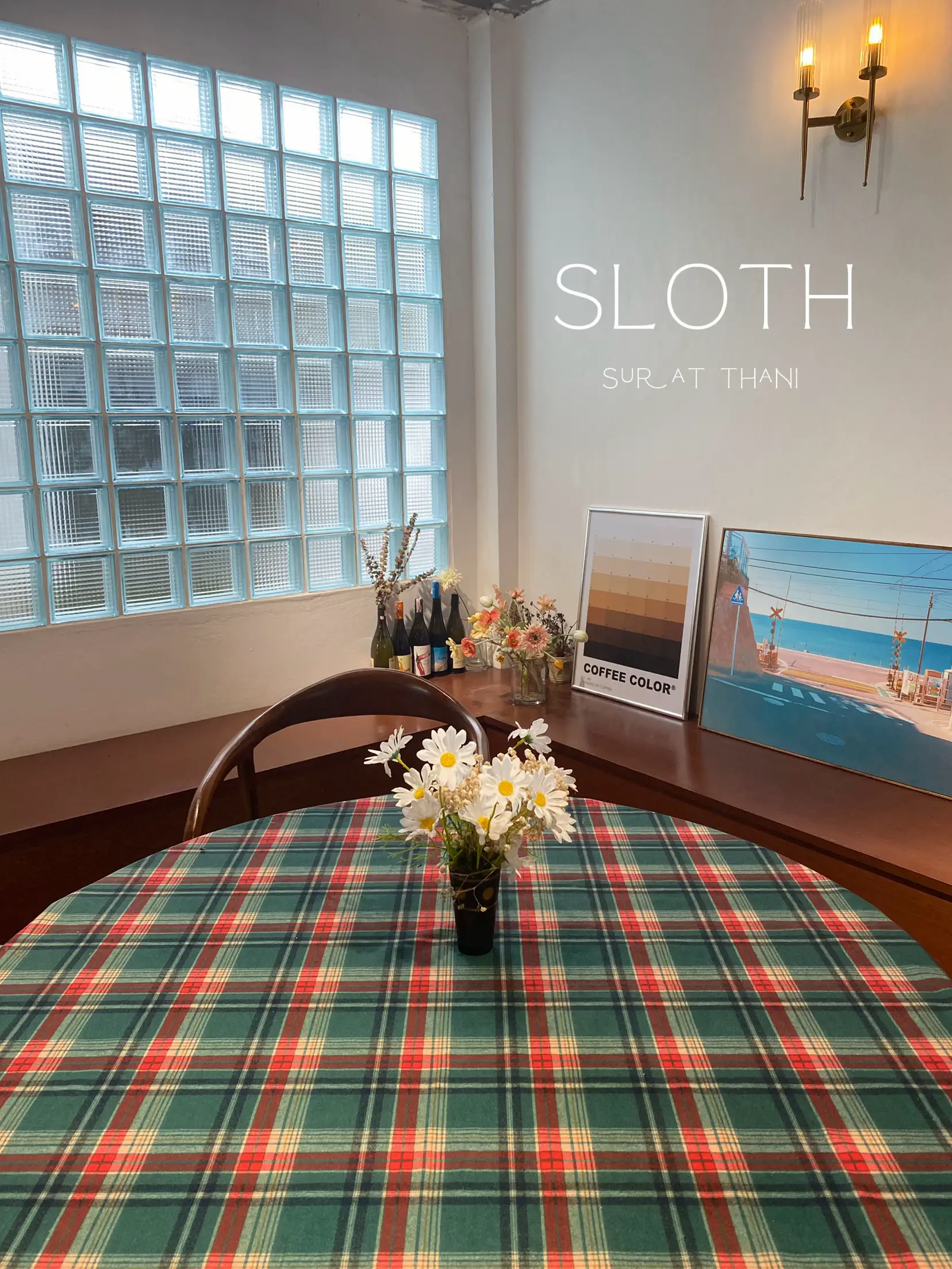 Sloth cafe 🦥 | คาเฟ่ธีมคริสต์มาสสุราษฎร์ธานี🎄 | แกลเลอรีที่โพสต์โดย ᴘᴇʀʟᴀ ④ ϟ ⑦ | Lemon8