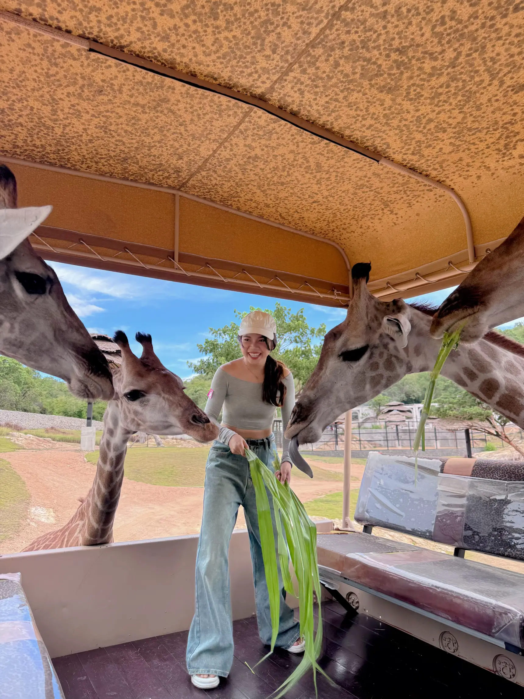 Hua Hin Safari & Adventure Park | แกลเลอรีที่โพสต์โดย Wirakornny | Lemon8