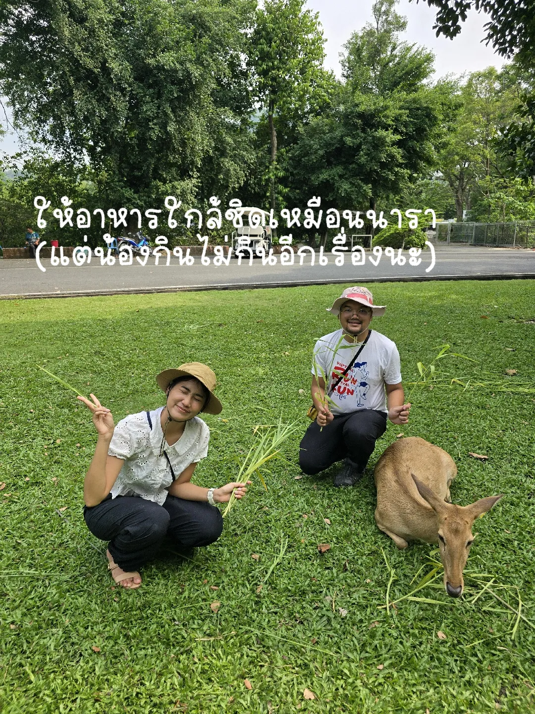 รัวิวเที่ยวสวนสัตว์เปิดเขาเขียว ปี 2024 | แกลเลอรีที่โพสต์โดย Chaaim | Lemon8