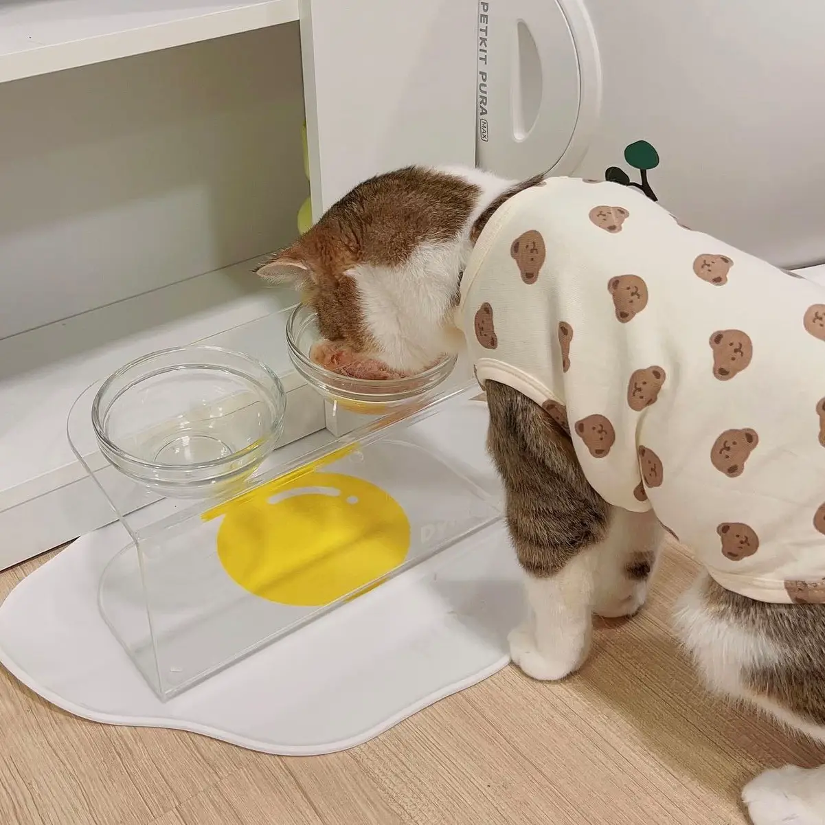 รีวิวชามอาหารยกสูงแบบใส Dylano | แกลเลอรีที่โพสต์โดย มังคุดมนุษย์แมว ...