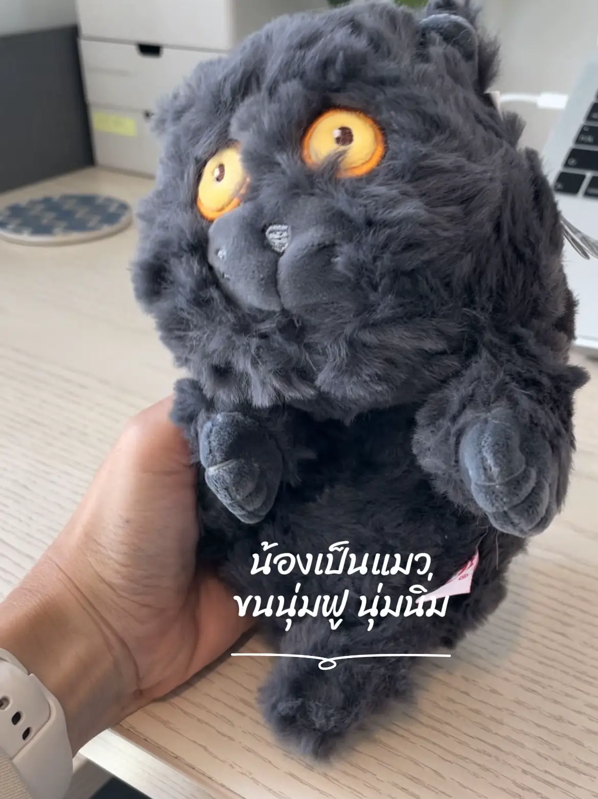 รีวิวไอเทม ตุ๊กตาของมนุษย์ออฟฟิศ | แกลเลอรีที่โพสต์โดย Zom Zom | Lemon8