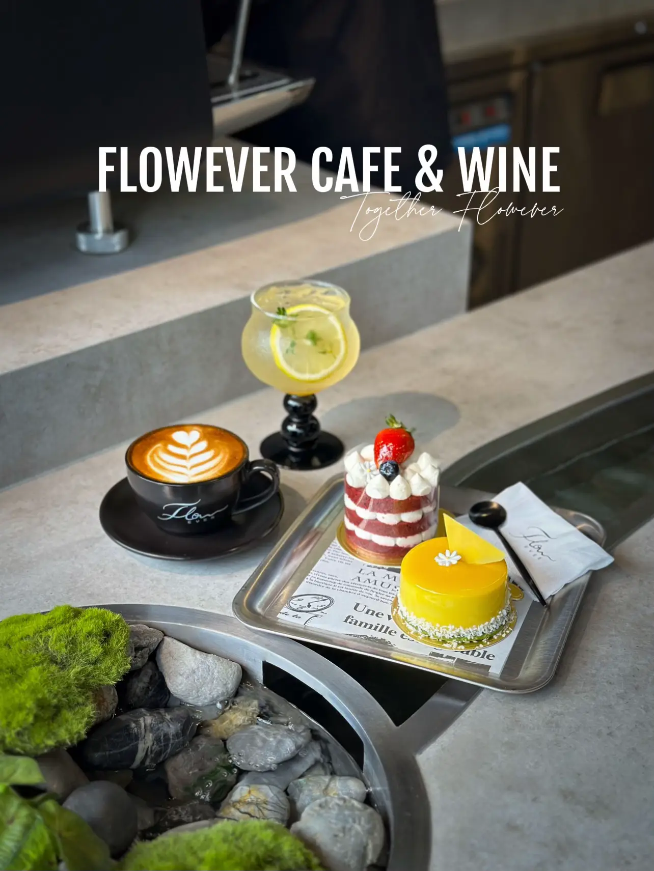 Flowever Cafe & Wine ☕️🍷🌊🍃 | Video published by FLOWEVER ☕️🍷🌊 | Lemon8