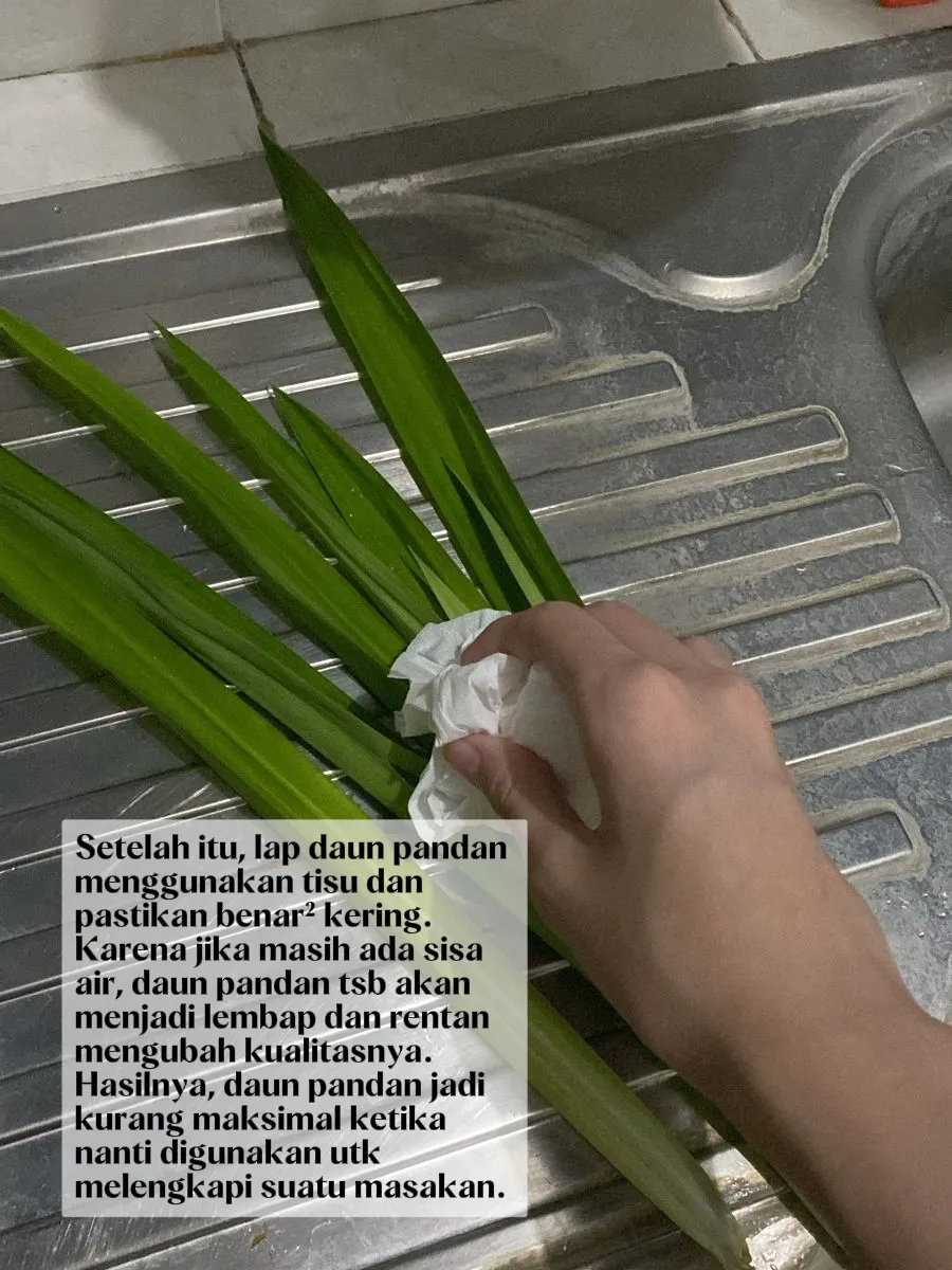 Cara Menyimpan Daun Pandan Agar Tetap Segar | Galeri diposting oleh Kenneth17 | Lemon8