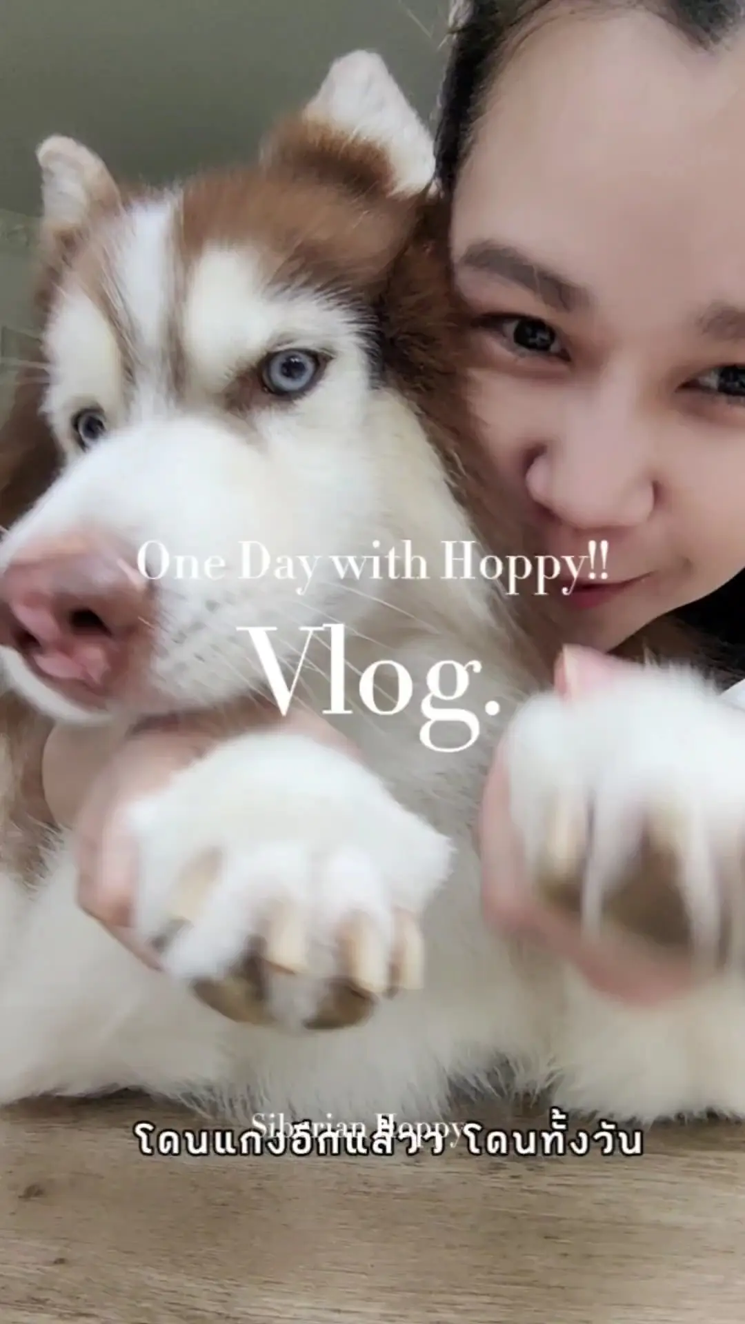 One Day With Hoppy | วิดีโอที่เผยแพร่โดย Putter's House | Lemon8