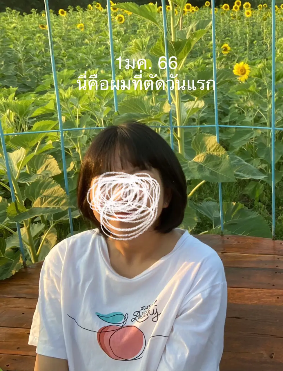 ซันซิลขวดเขียว ผมยาวเร็วจริงหรือไม่? | แกลเลอรีที่โพสต์โดย PhAiliN | Lemon8