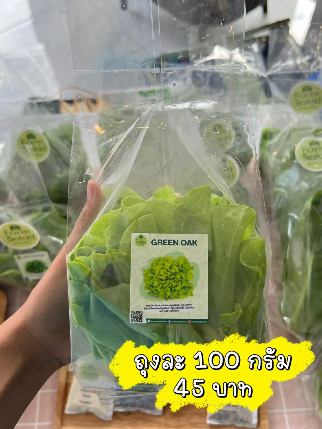 ผักออแกนิค 100% จากฟาร์มสลัด | แกลเลอรีที่โพสต์โดย Saifon | Lemon8