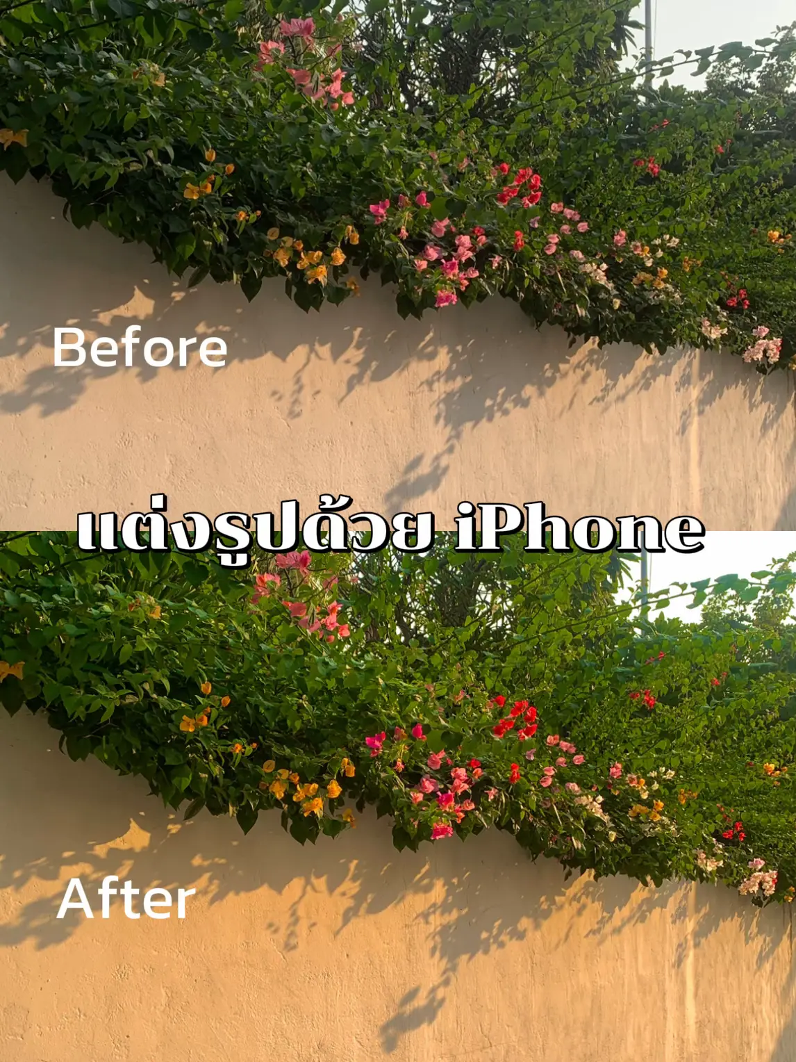 แต่งรูปด้วย iPhone | แกลเลอรีที่โพสต์โดย Siapoxy | Lemon8
