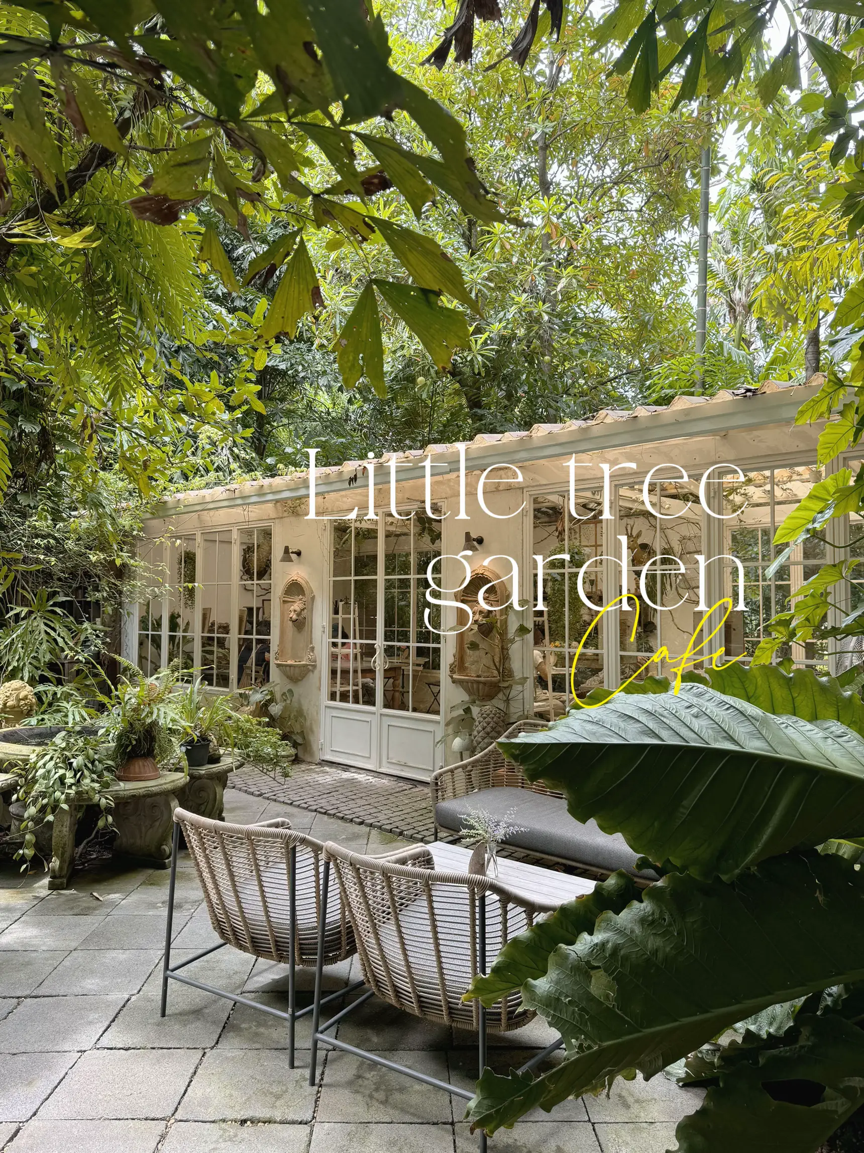 Little tree garden cafe 🌳🧺🪑🚪🪴 | แกลเลอรีที่โพสต์โดย Puifaikamon | Lemon8