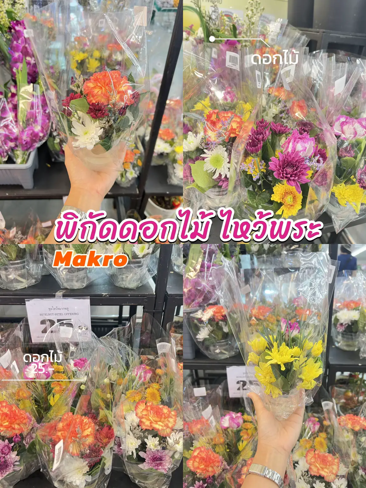 พิกัดดอกไม้ ไหว้พระในแม็คโคร | แกลเลอรีที่โพสต์โดย Noona_aaa | Lemon8