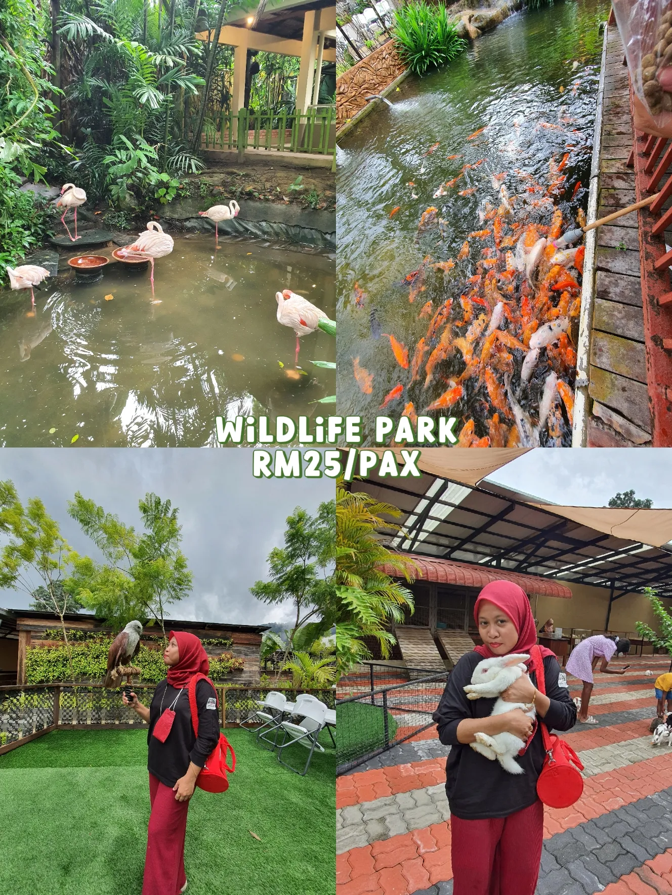 LANGKAWI ITINERARY 3D2N | Galeri disiarkan oleh Atie Ben | Lemon8