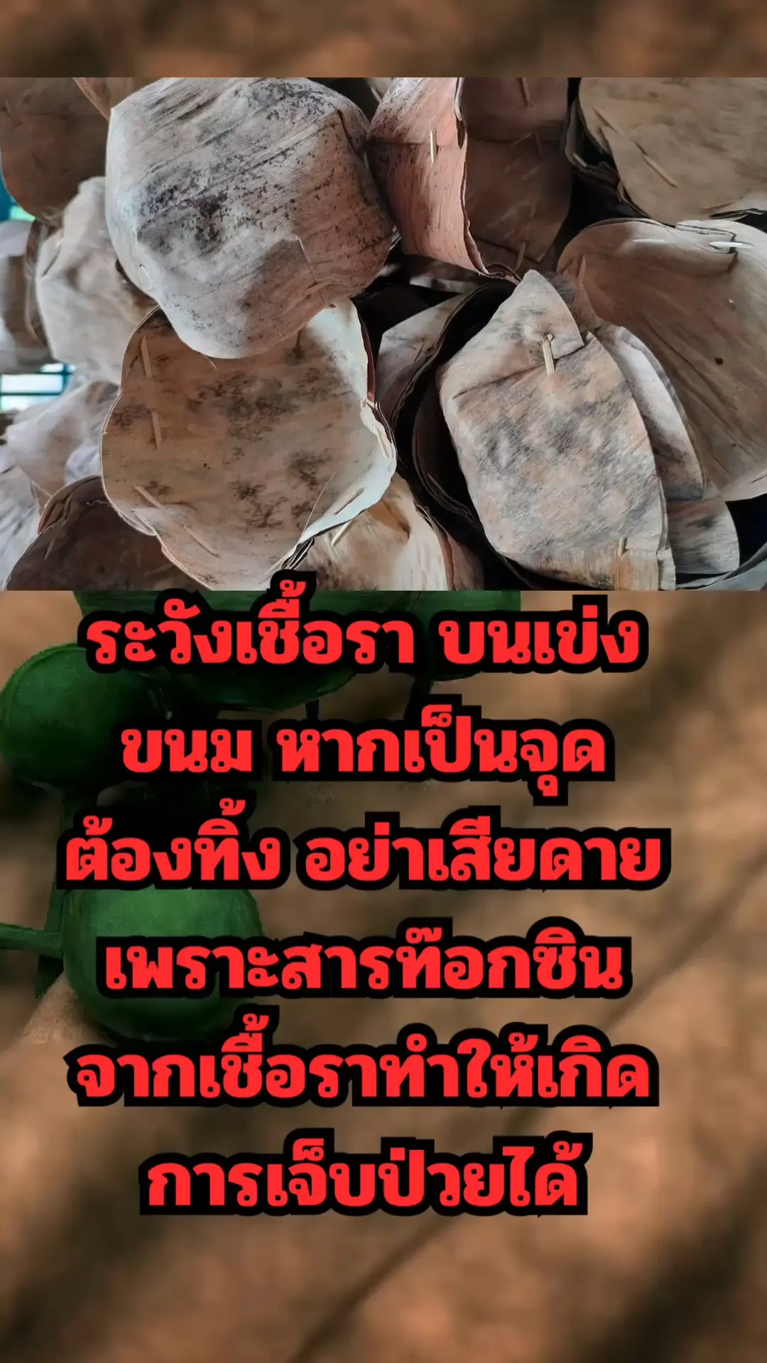 ระวังเชื้อรา | วิดีโอที่เผยแพร่โดย K.khwan | Lemon8