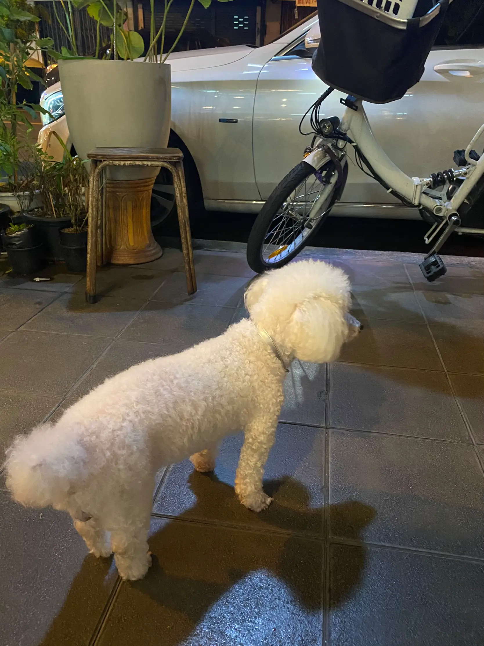 A secret bakery around the city.🥧🍰🍯 | Gallery posted by milkksrp | Lemon8