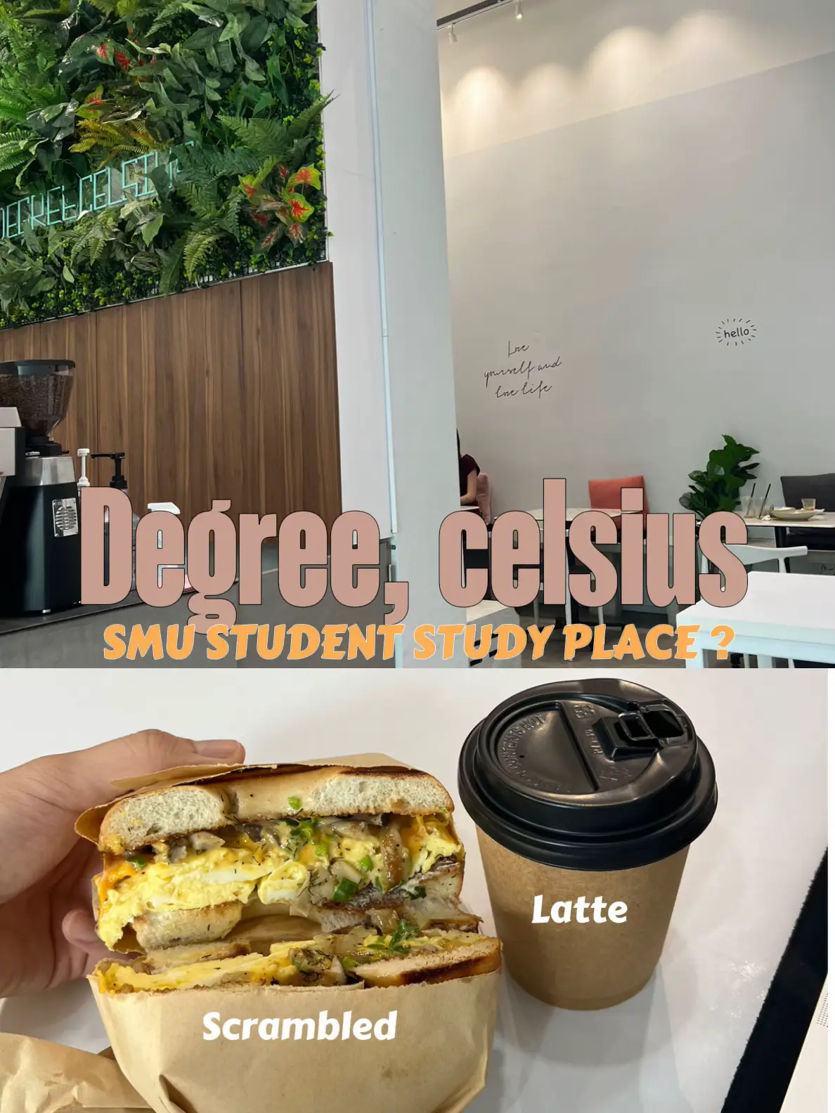 SMU student study corner ? Degree, celsius | Gallery posted by Just ...