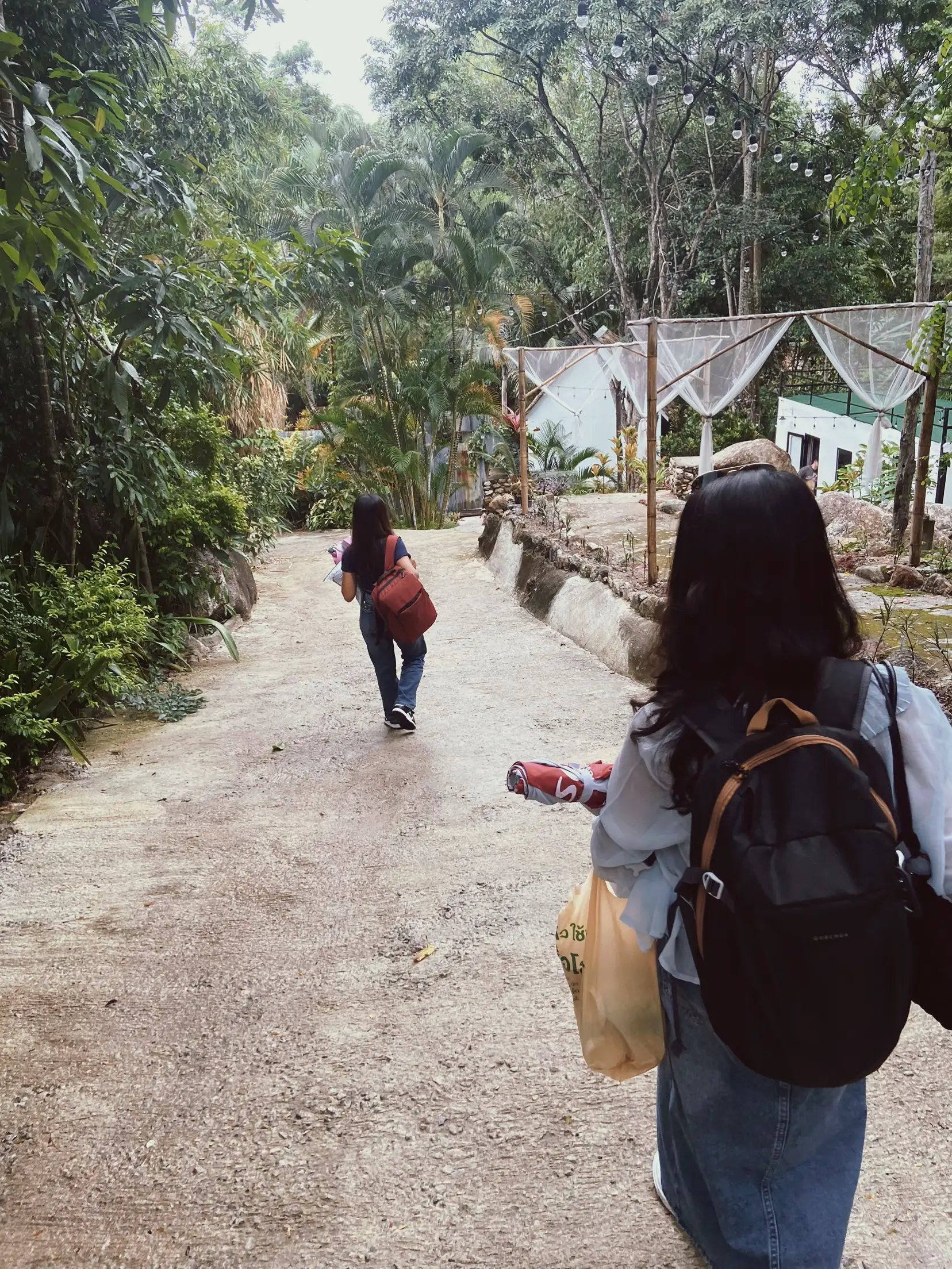 ที่พักในห้วยน้ำใส | แกลเลอรีที่โพสต์โดย Nitcha | Lemon8