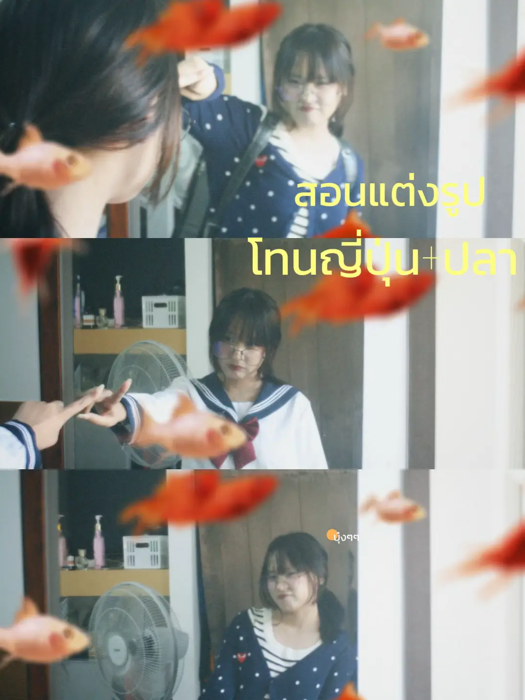 โทนญี่ปุ่น+ปลา | แกลเลอรีที่โพสต์โดย Chatchada | Lemon8