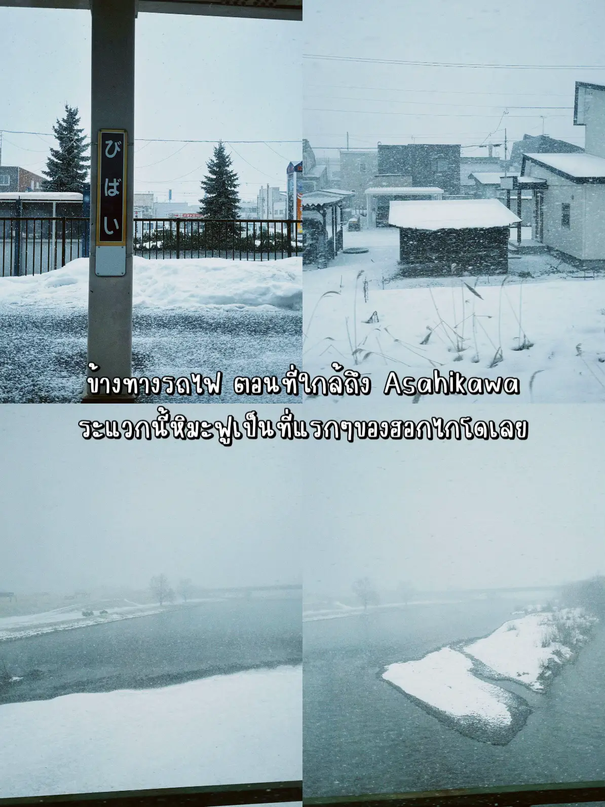คู่มือท่องเที่ยว Asahikawa-Biei-Furano: สัมผัสความงามแห่ง Hokkaido