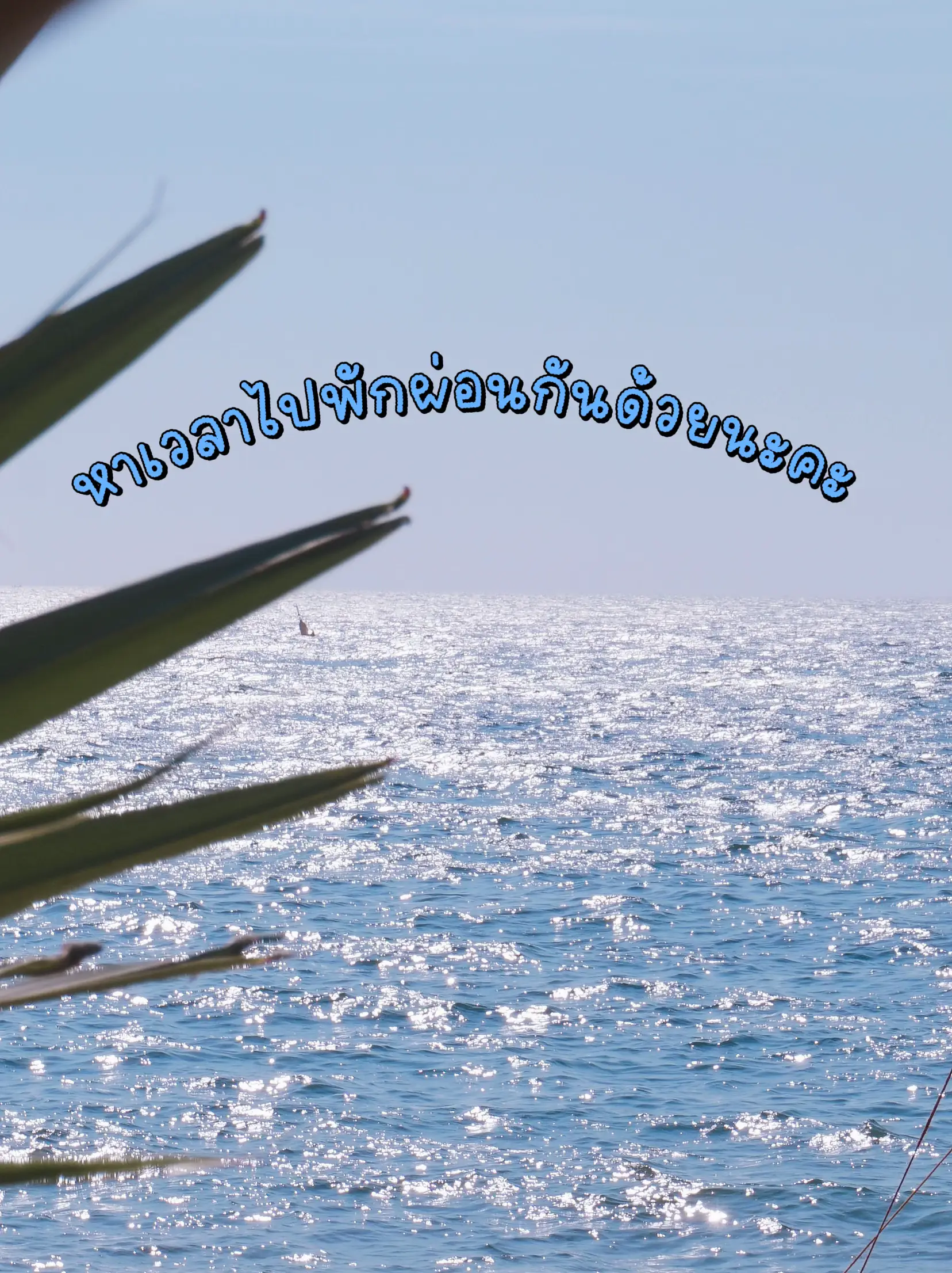 หาเวลาไปพักผ่อนกันด้วยนะคะ | แกลเลอรีที่โพสต์โดย Siapoxy | Lemon8